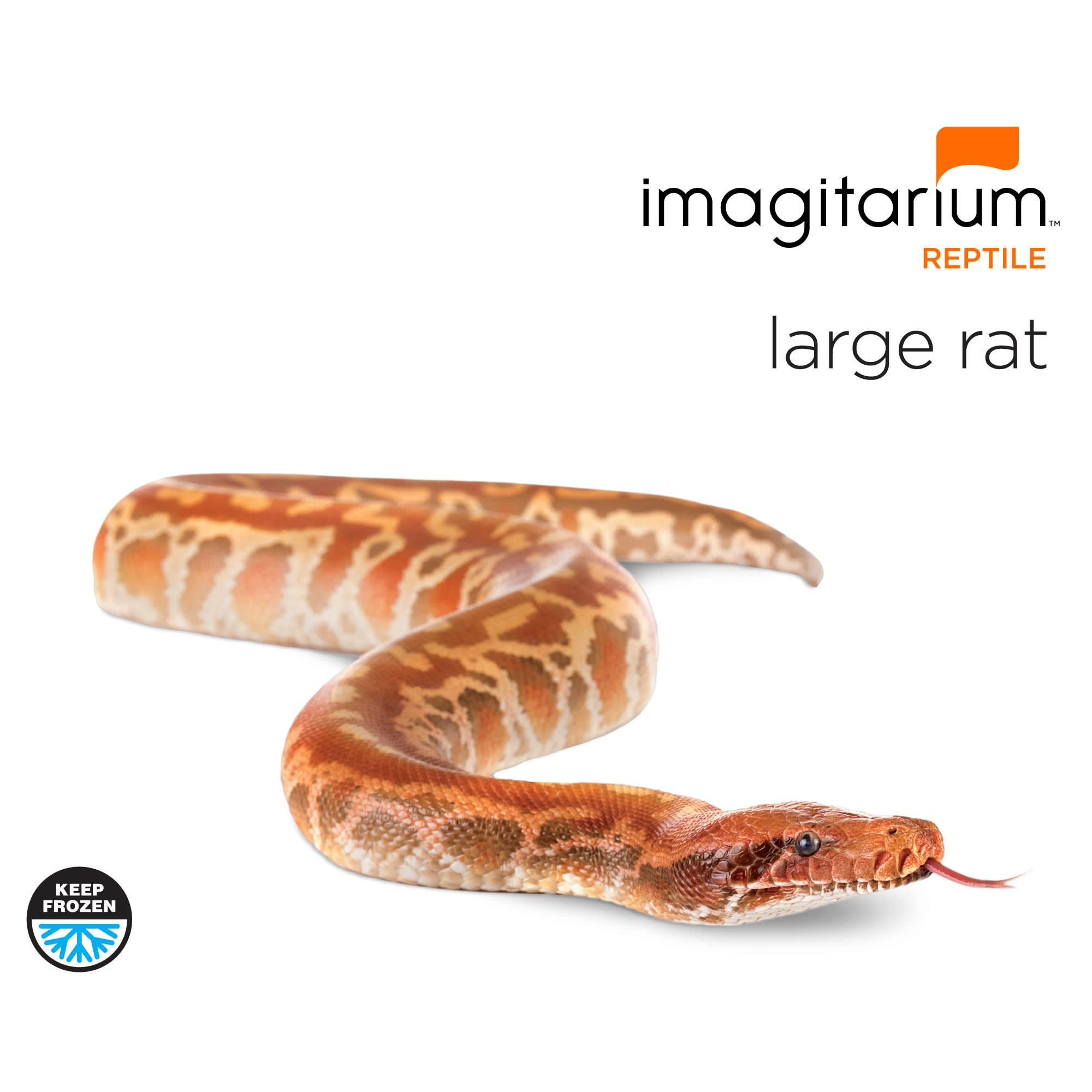 Frozen Large Rat, Count of 25 | Petco