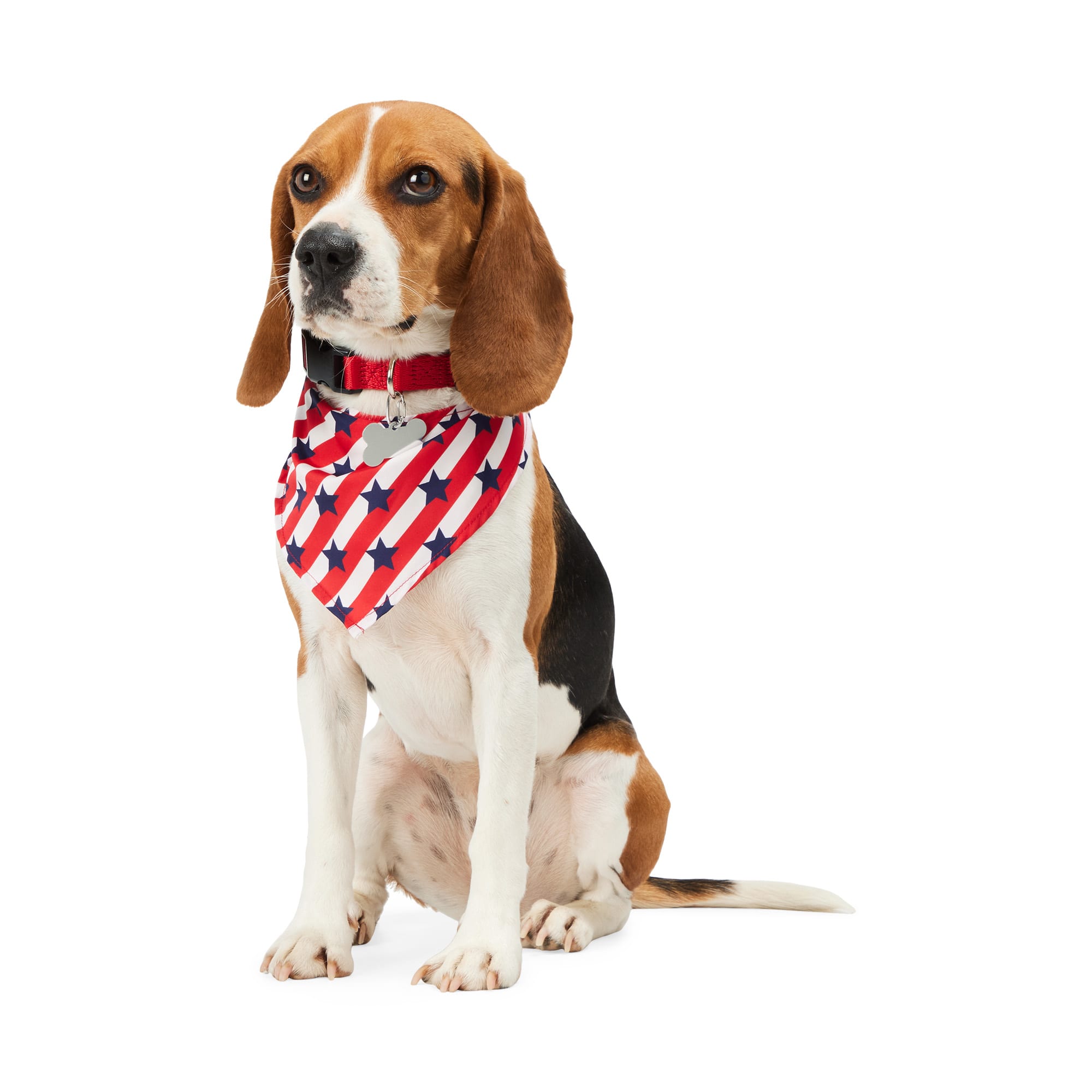 YOULY USA Dog Bandana, X-Small/Small, Red | Petco