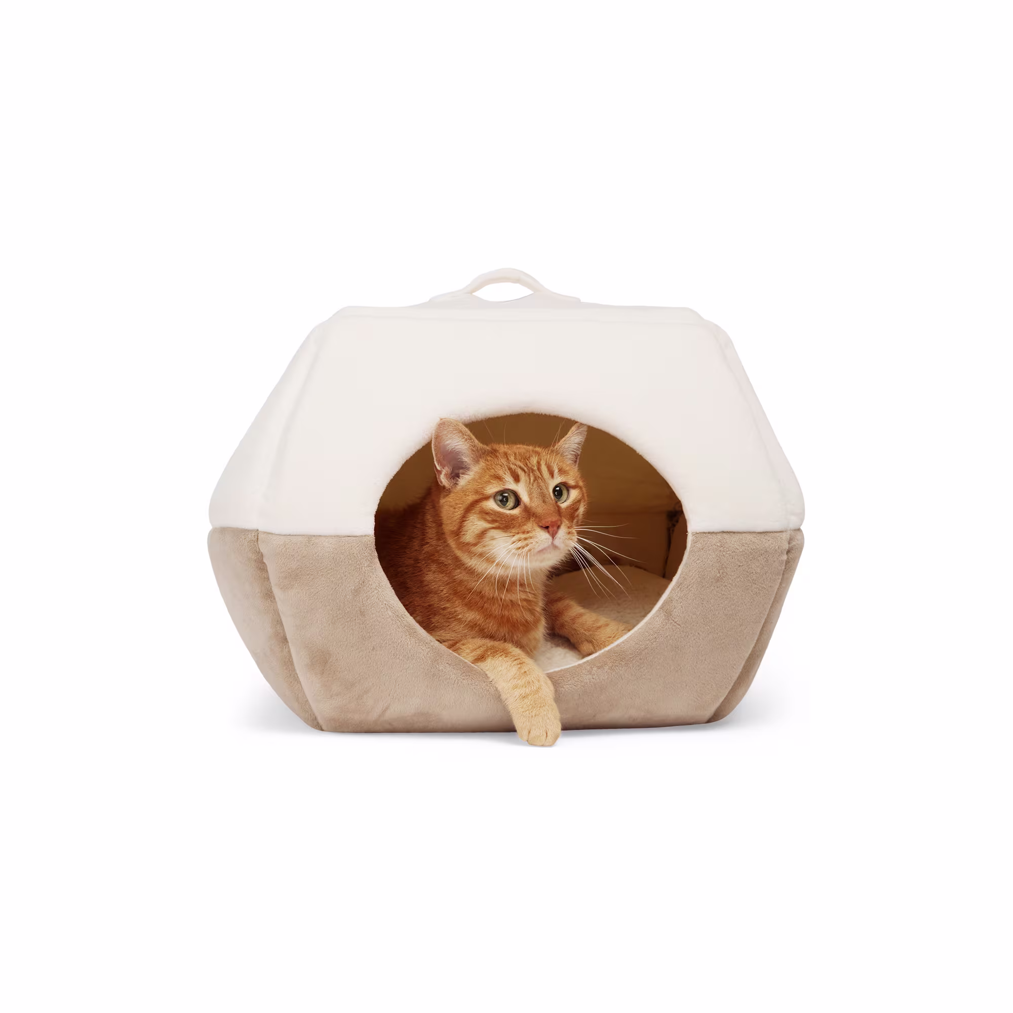 EveryYay 2-in-1 Pyramid Convertible Cat Bed, 16" | Petco
