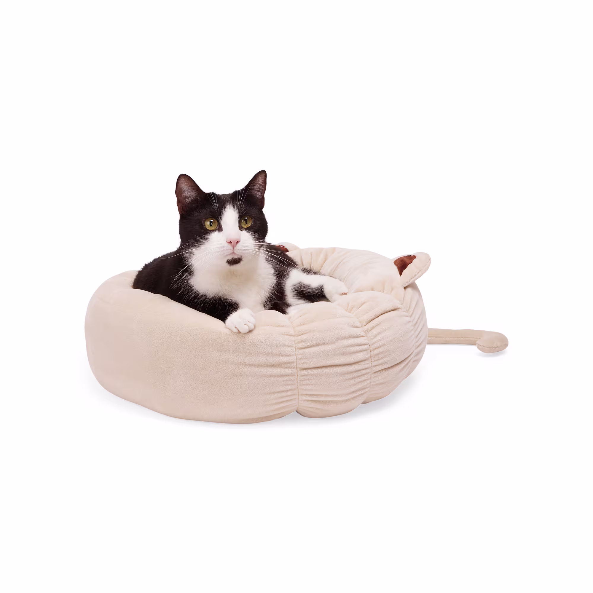 EveryYay Tan Cat Ear Round Bed, 18" L X 18" W X 6" H | Petco