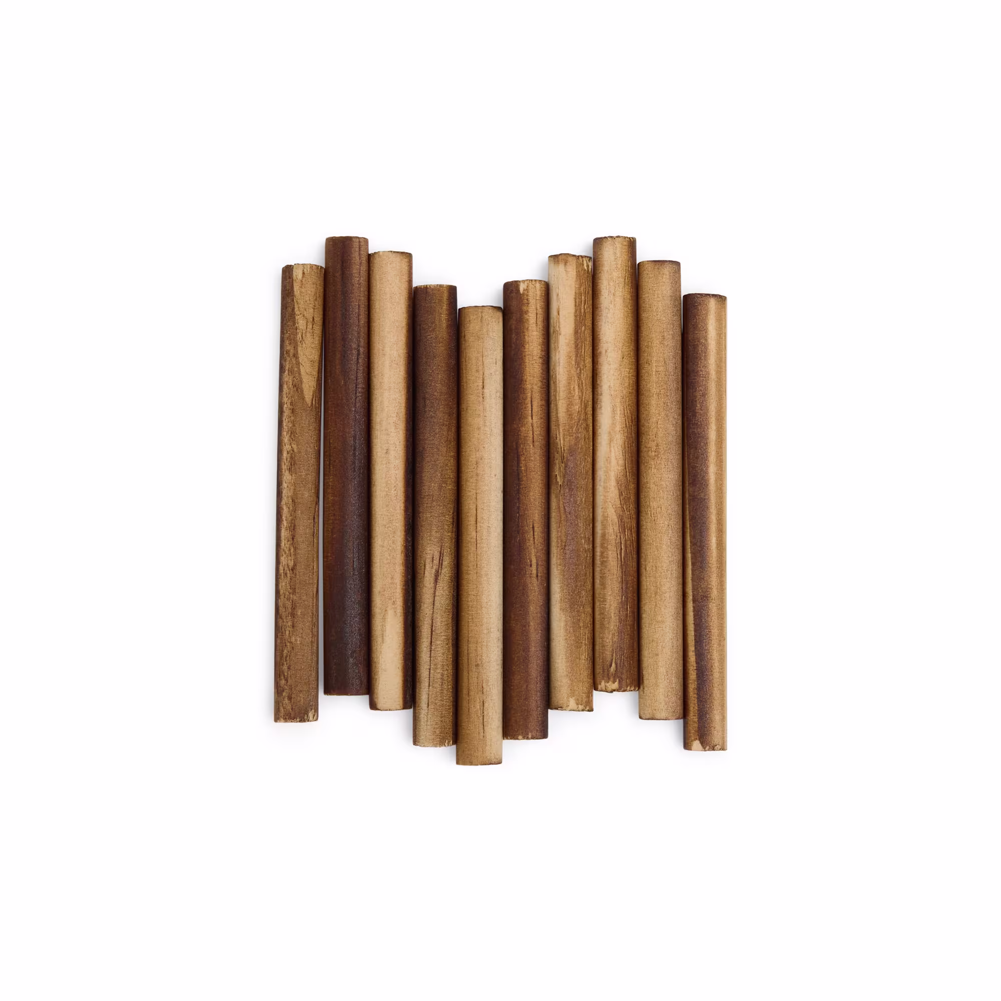 EveryYay Natural Chew Sticks for Small Animals, Pack of 10 | Petco