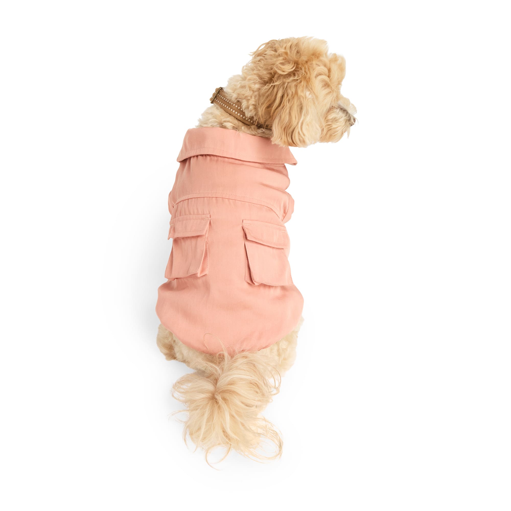 Reddy Pocket Vest for Dogs, X-Small, Red | Petco
