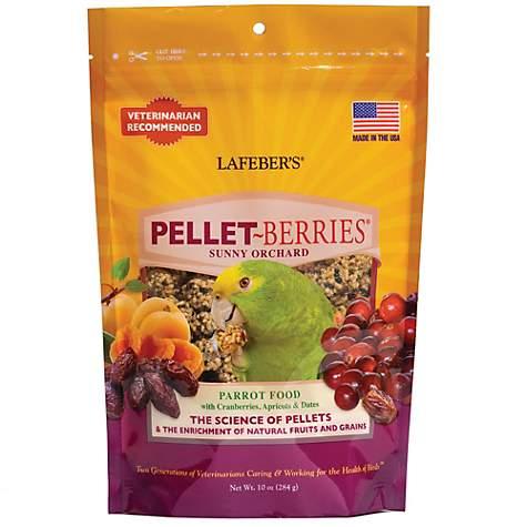 Is Lafeber's pellet food good for conures? How to switch diets? | Petco