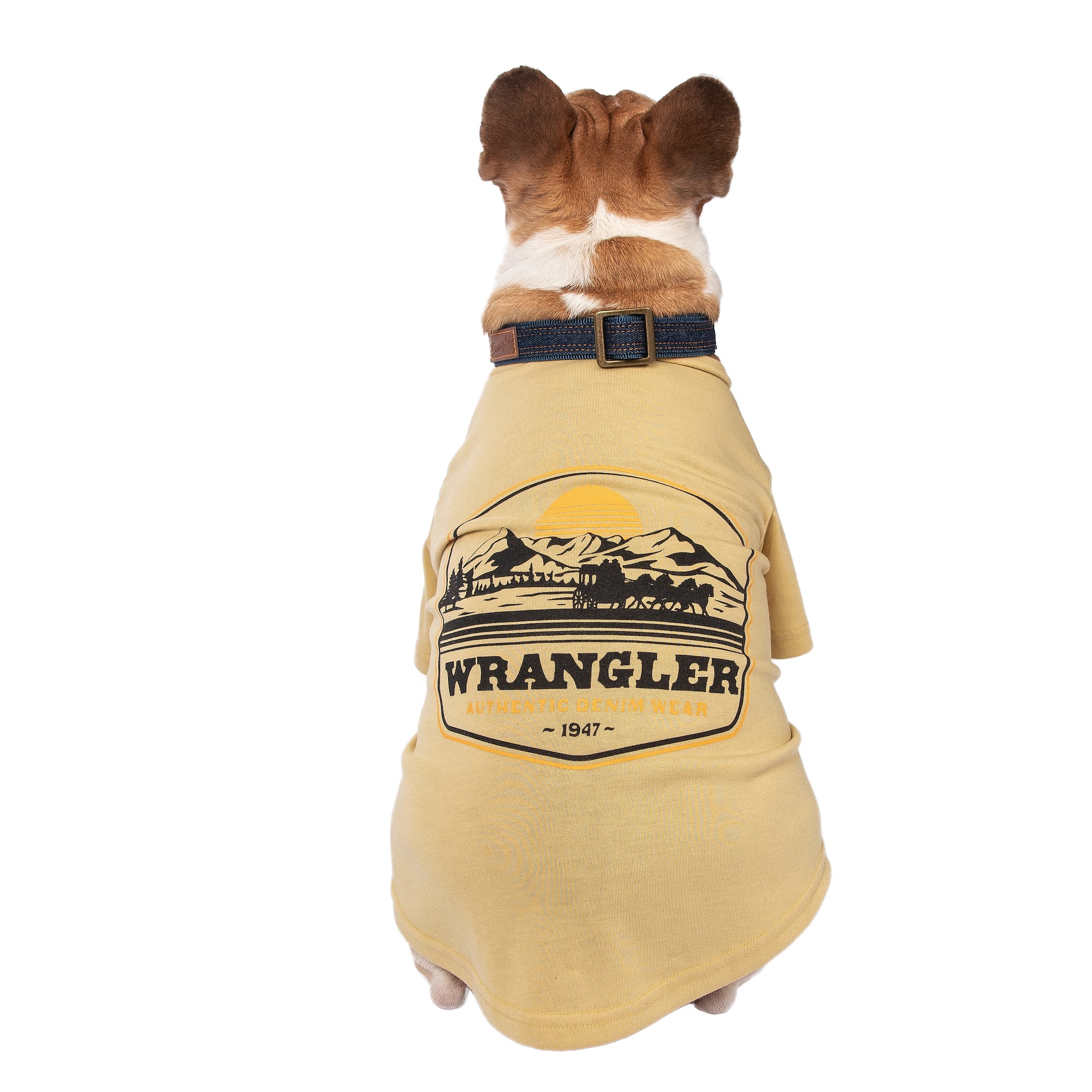 Wrangler Fashion Logo Graphic Tee Dog Apparel, X-Small, Yellow | Petco