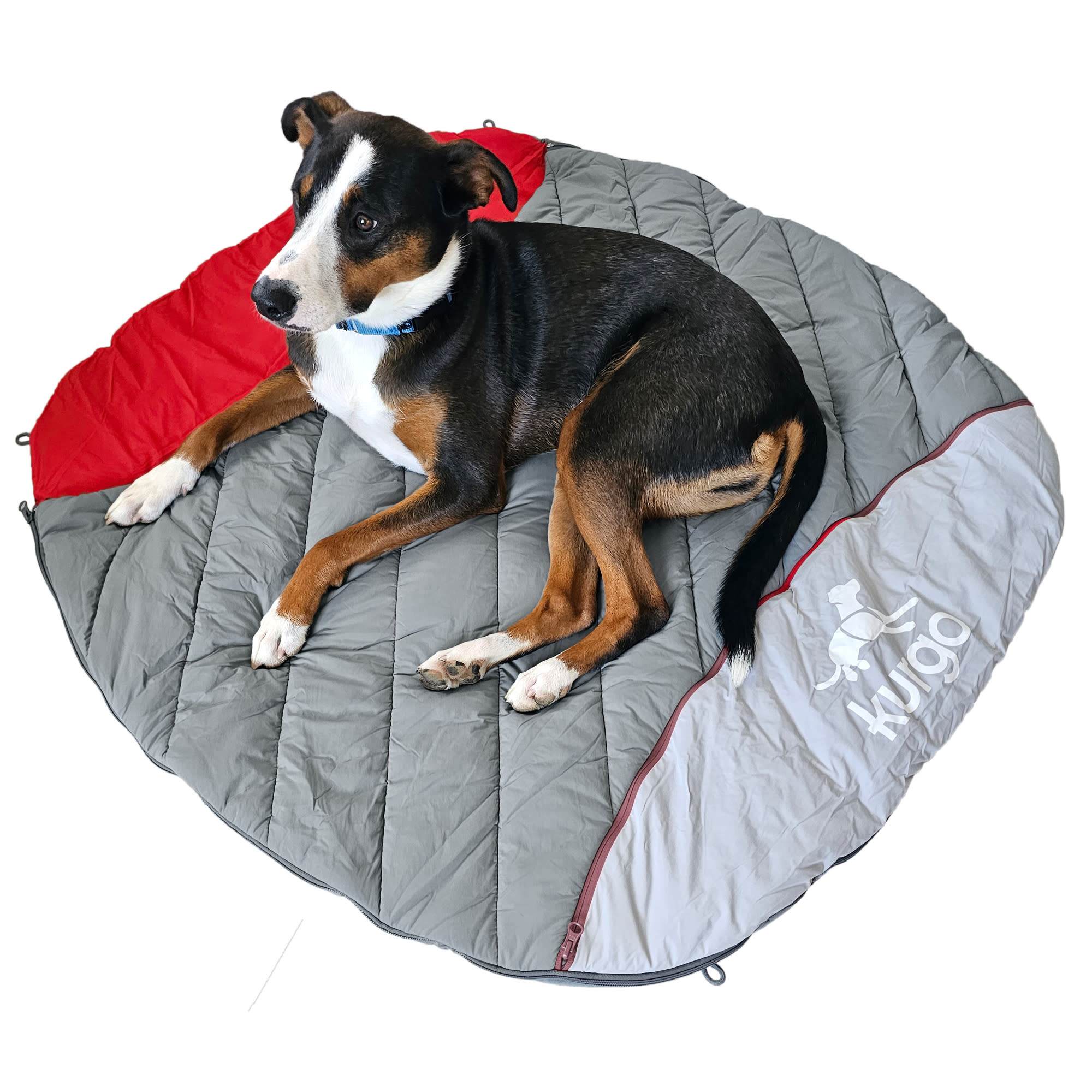 Kurgo Canyon Puffer Pup Sack, 30" L X 30" W X 3" H | Petco
