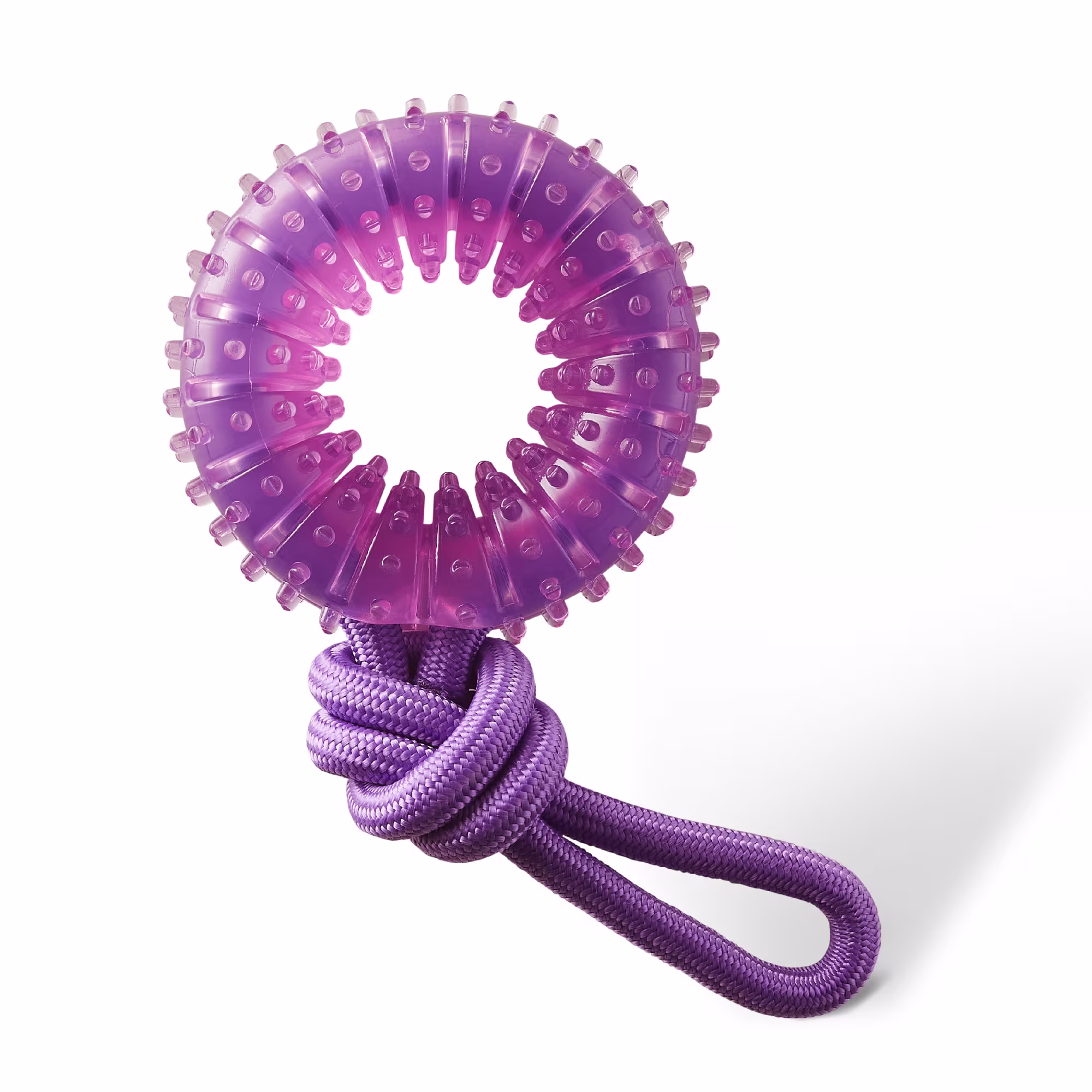 Outward Hound Purple Dental Chew Wheel Dog Toy, Medium | Petco