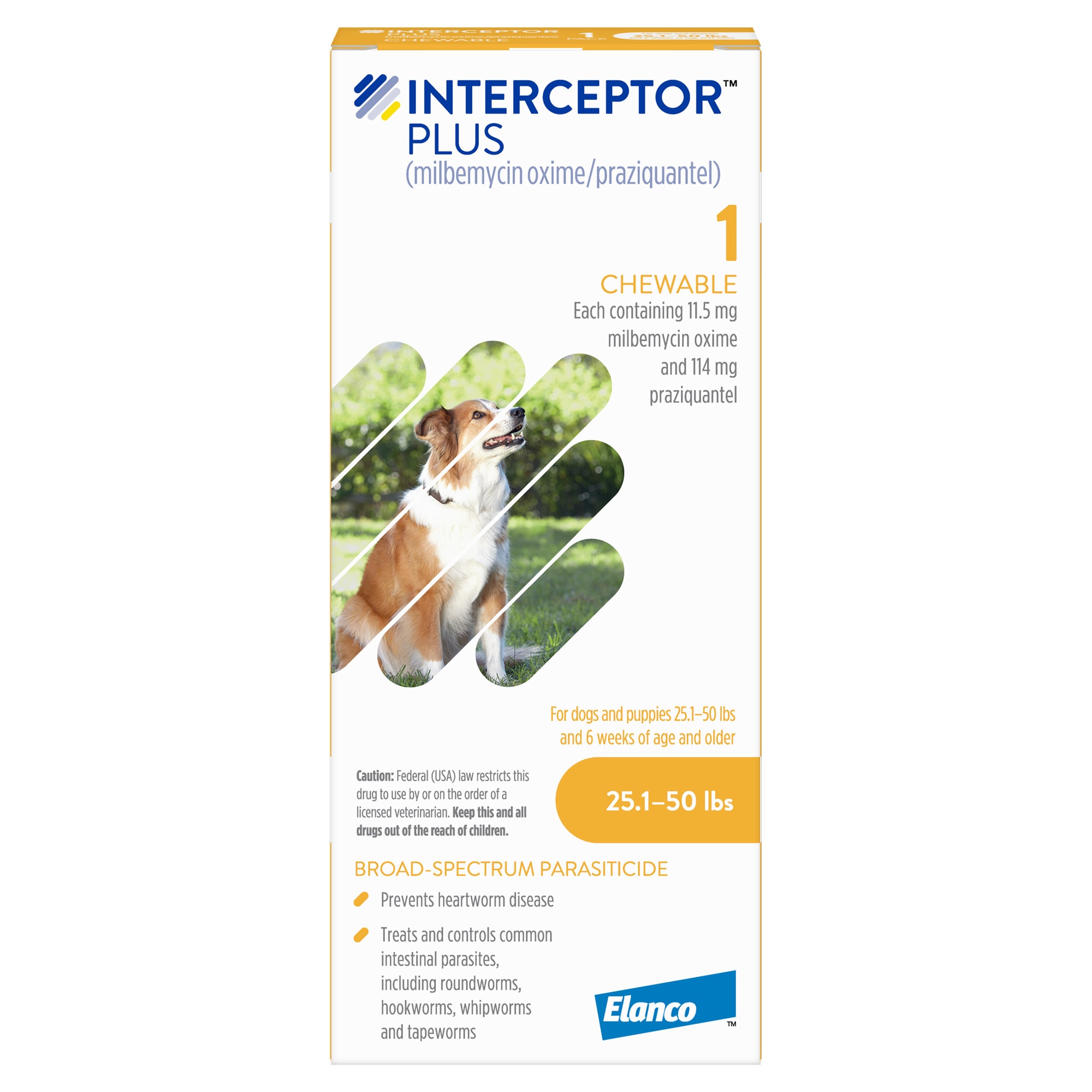 Interceptor Plus Chewables for Dogs 25 to 50 lbs., 1 Month Supply | Petco