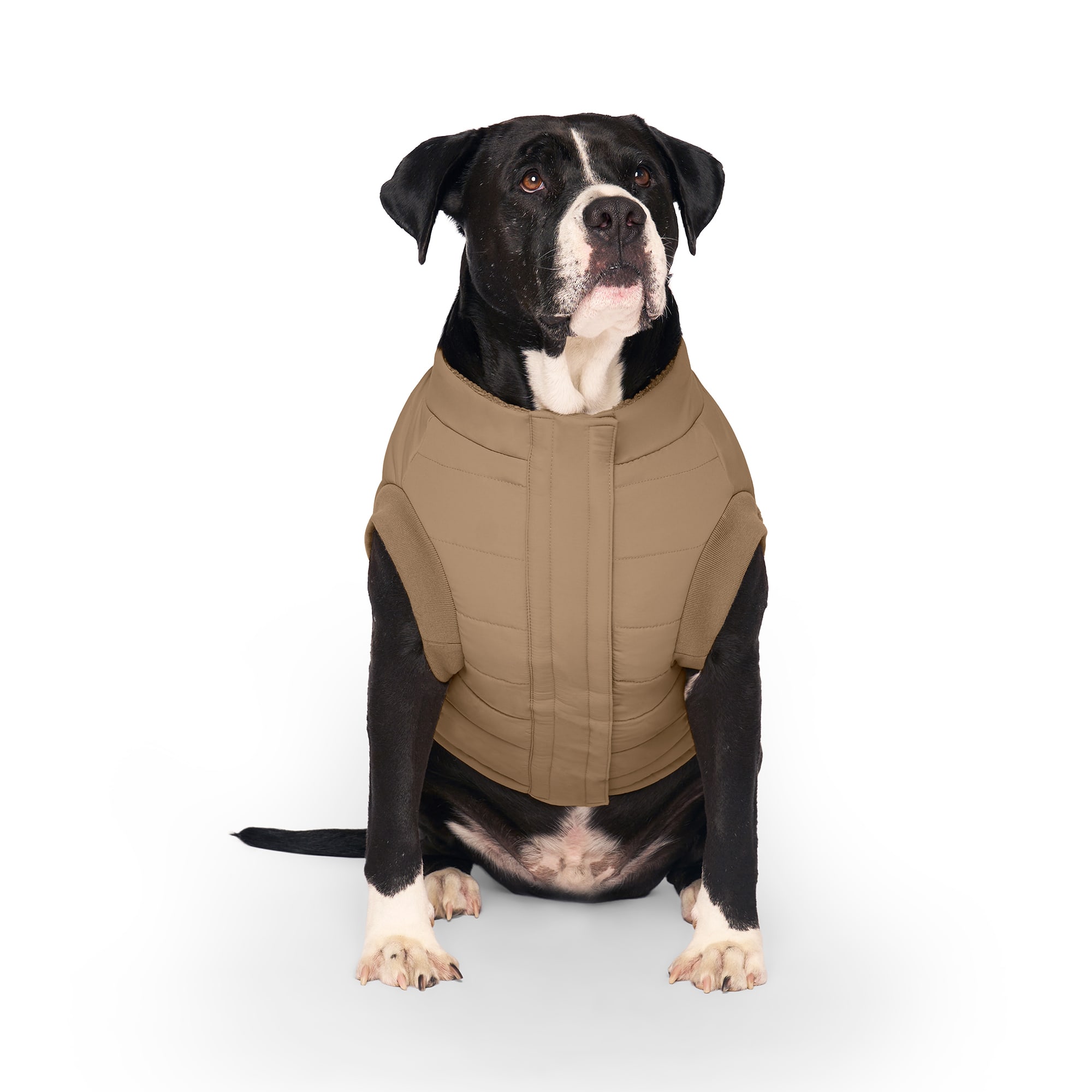 Canada Pooch Cool Factor Puffer Jacket for Dogs, 8, 3X-Small, Tan | Petco