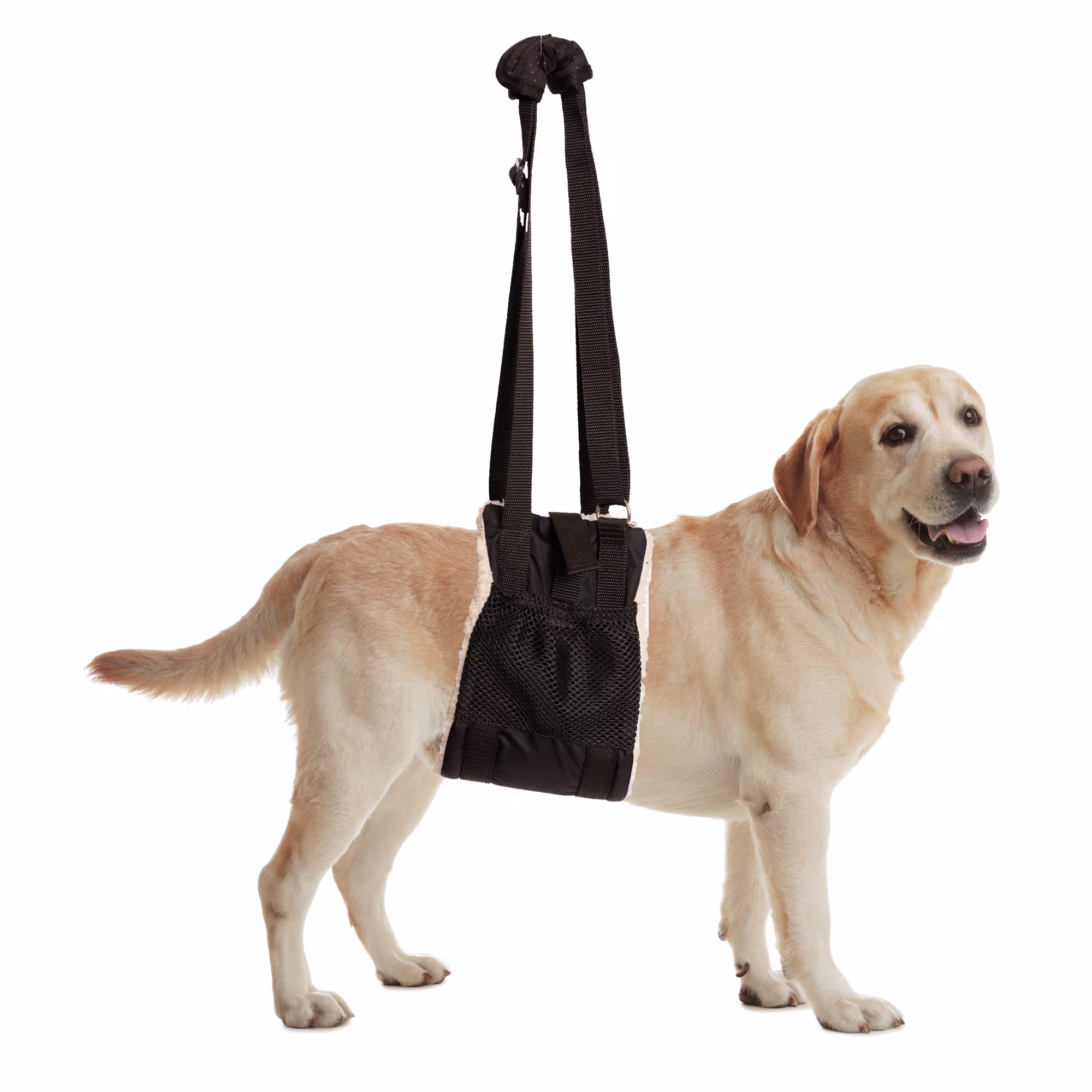 Zenpet Buddy Lift Canine Support & Rehabilitation Sling for Dogs, Large ...