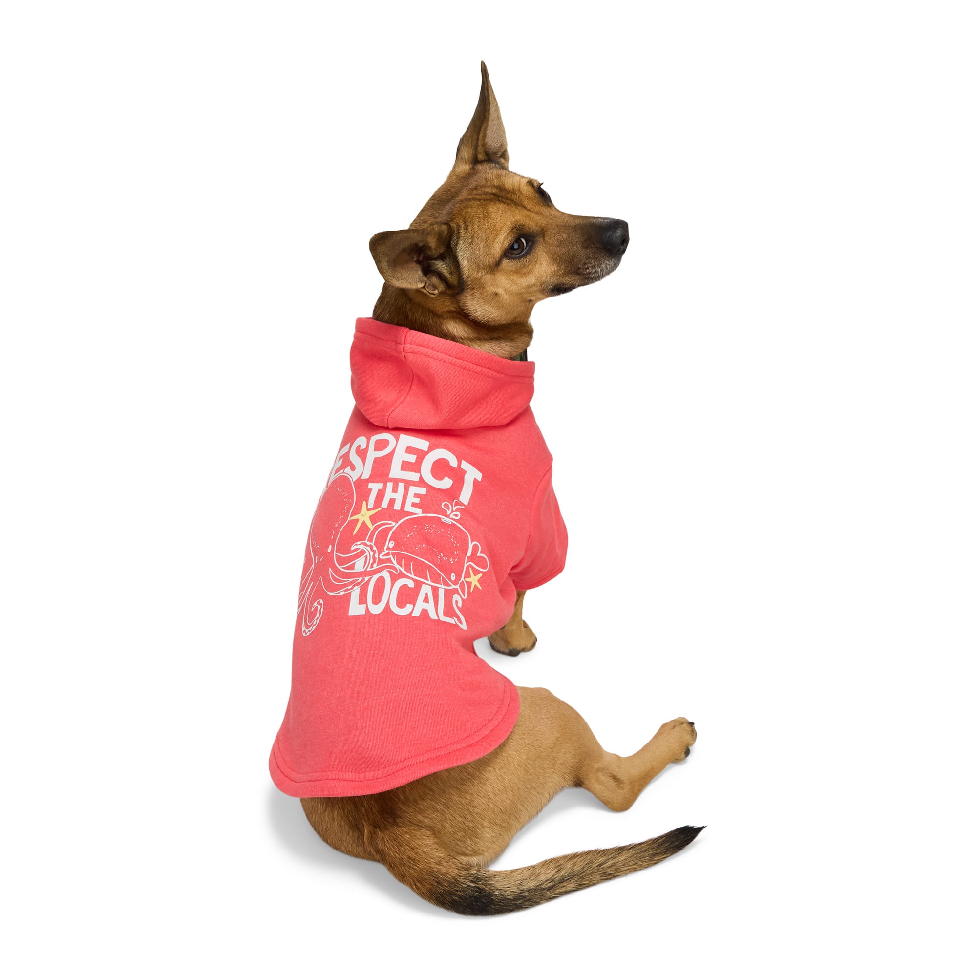 Started As A Bottle Respect the Locals Dog Hoodie, Red Graphic, X-Small ...