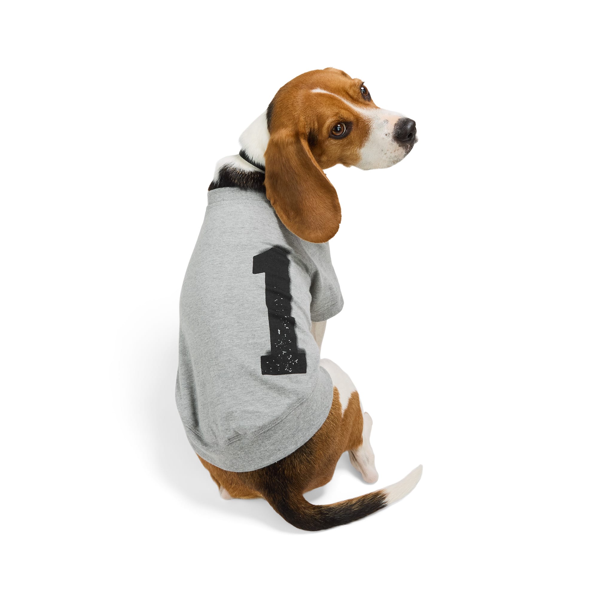Reddy Icon Dog Tee, X-Small, Heather Gray | Petco