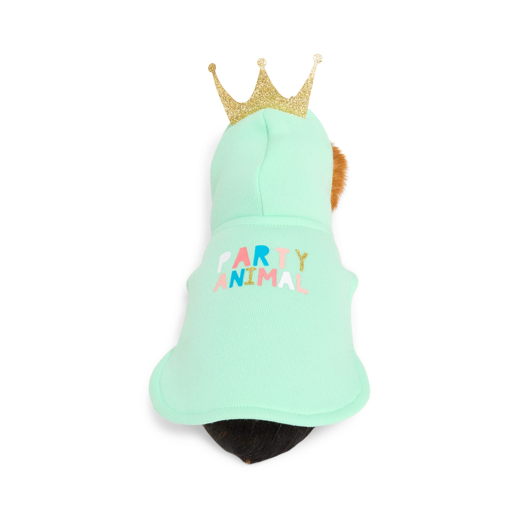 YOULY Birthday Small Animal Hoodie, X-Small, Green | Petco