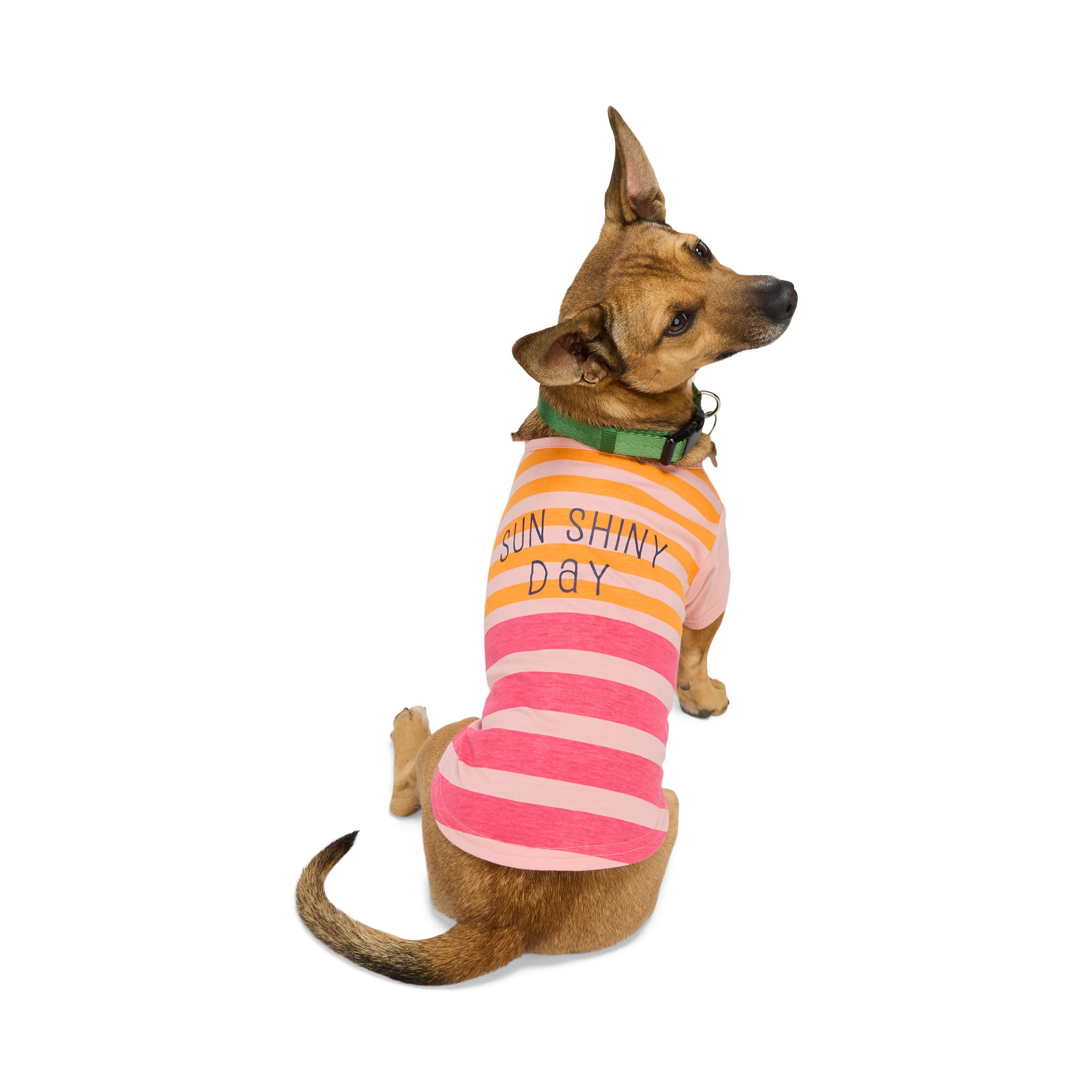 YOULY Sun Shiny Pet T-Shirt, XX-Small | Petco