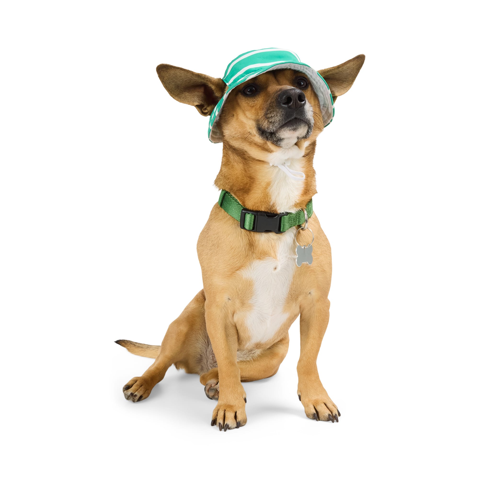 YOULY Adjustable Bucket Hat for Dogs, X-Small/Small, Green | Petco