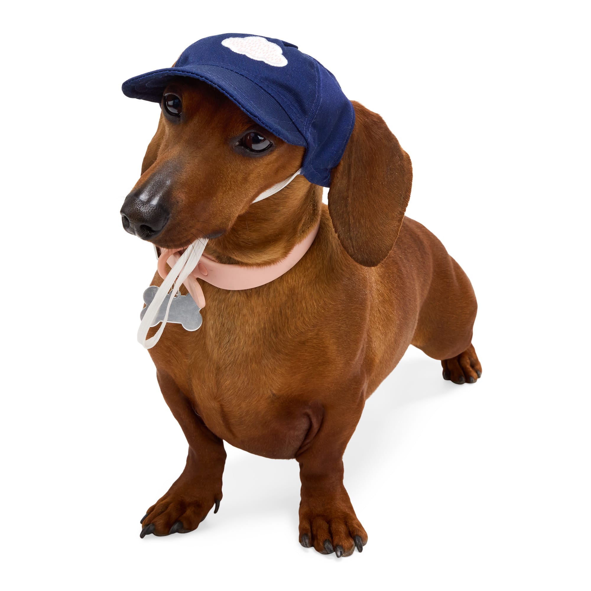 YOULY Cloud Adjustable Dog Hat, X-Small/Small | Petco