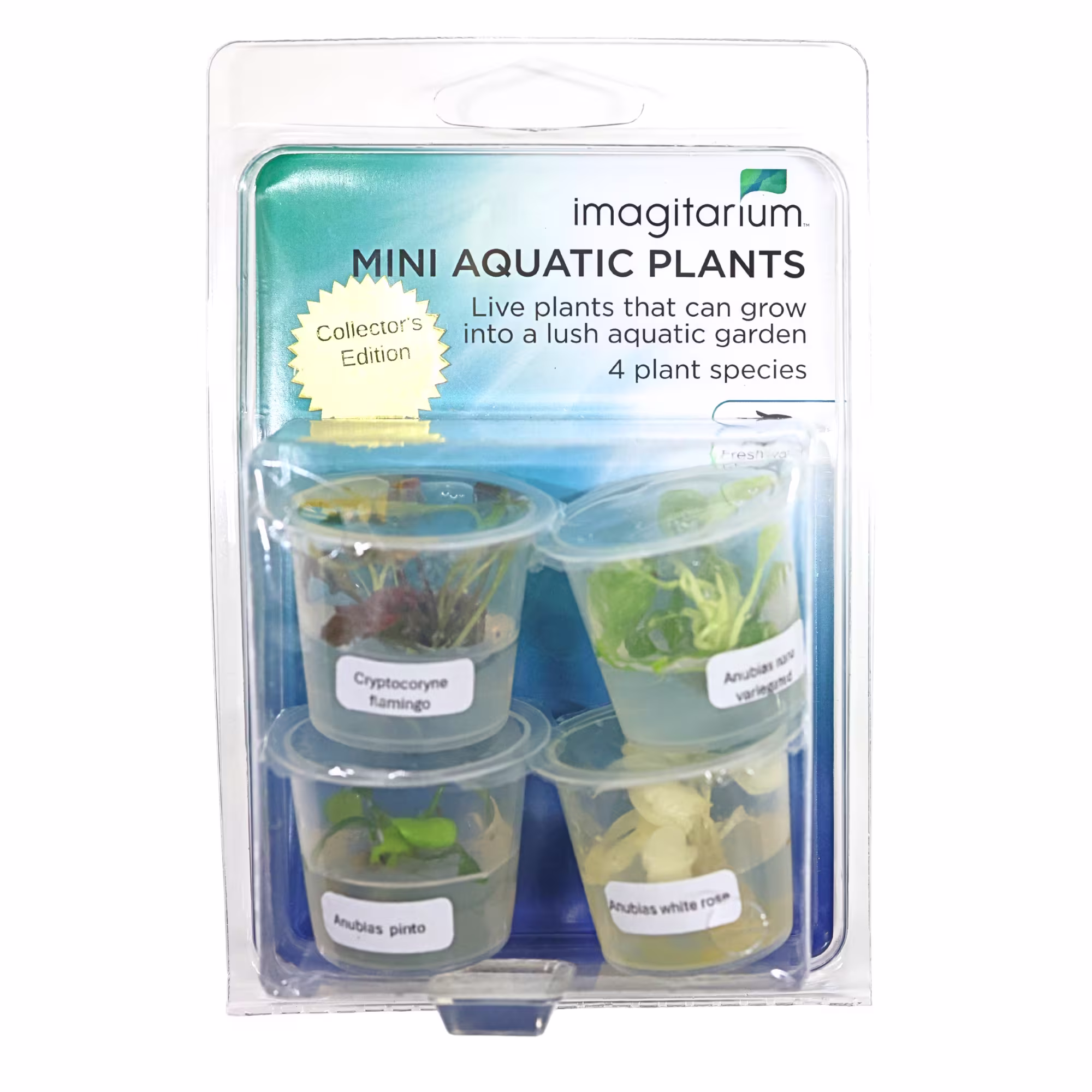 Mini 4 Pack TC Cups Collectors Edition | Petco