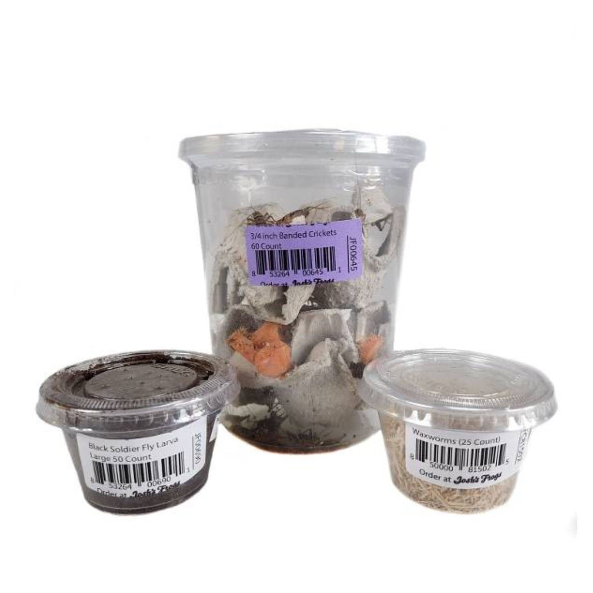 Live Insects Large/Adult Tree Frog Feeder Bundle | Petco