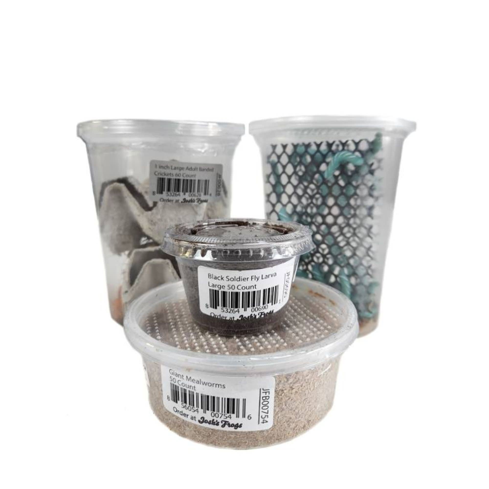 Live Insects Adult Leopard Gecko Feeder Bundle | Petco