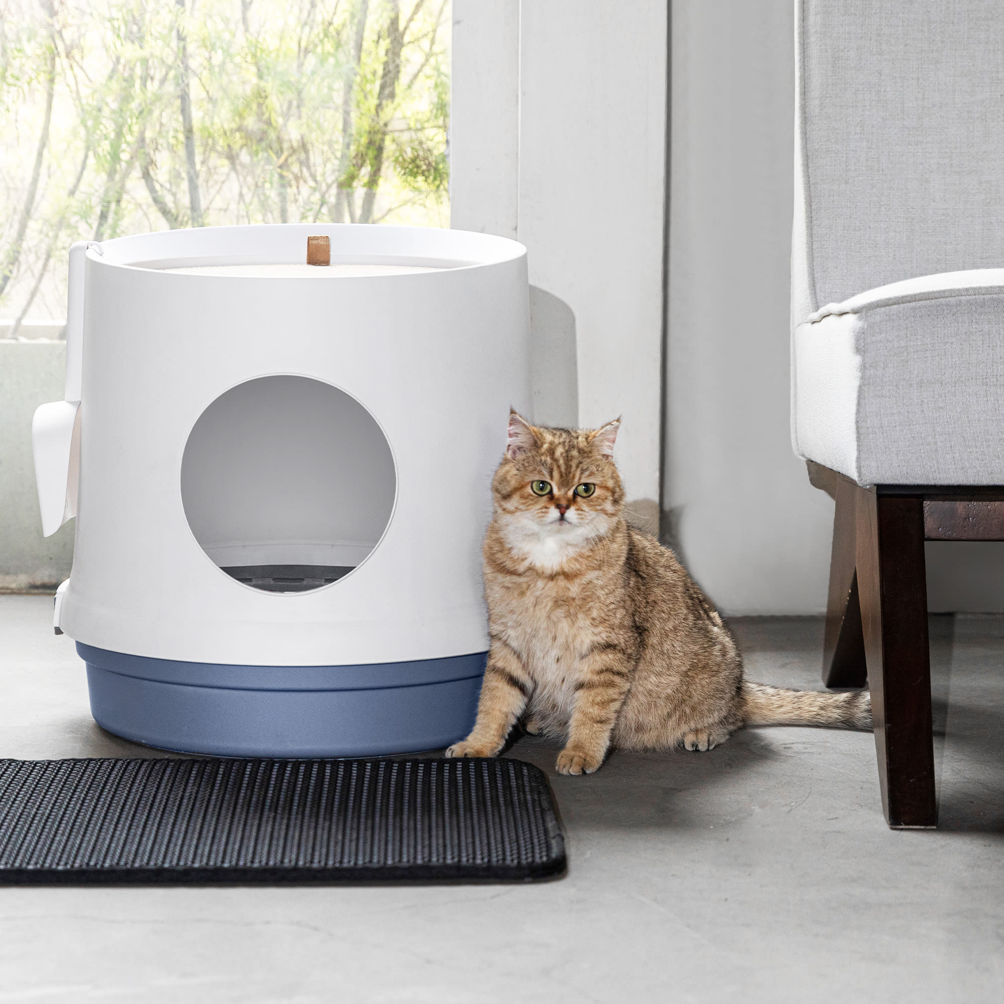 HANAMYA Cat Litter Box with Scoop and Scratcher | Petco