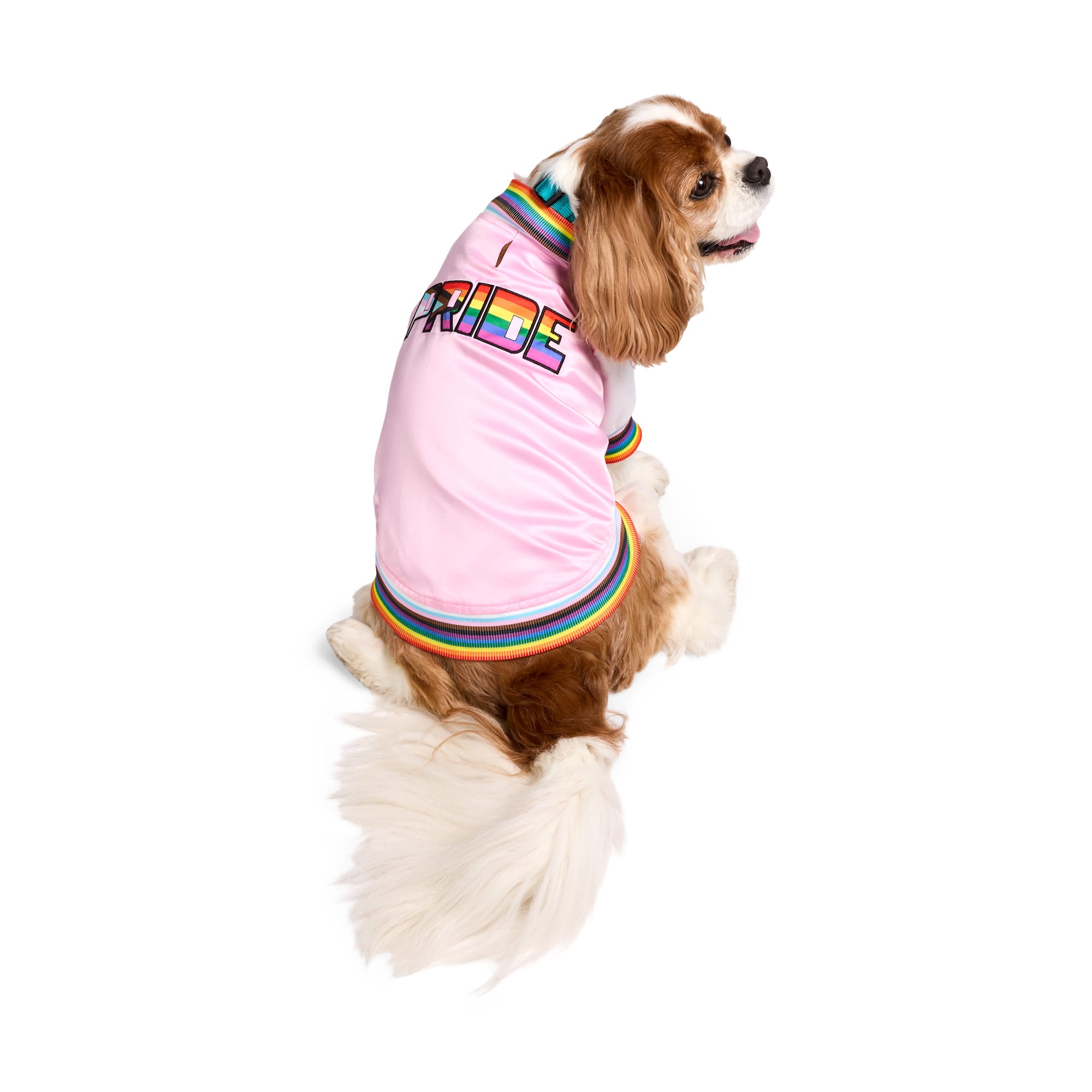YOULY Pride Pet Bomber Jacket, Pink, X-Small | Petco