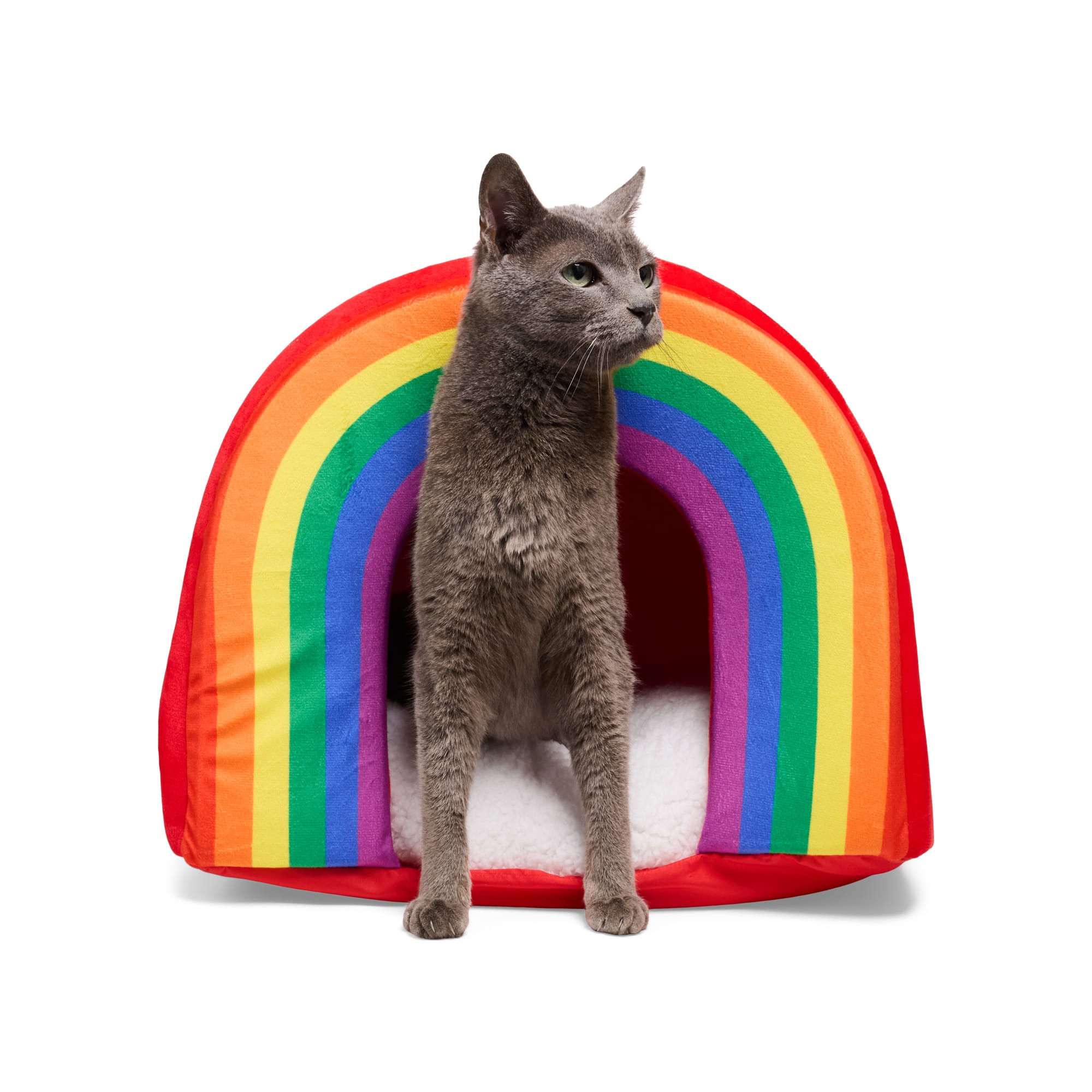 YOULY Pride Rainbow Pet Bed, 18" L X 12" W X 14" H, Rainbow | Petco