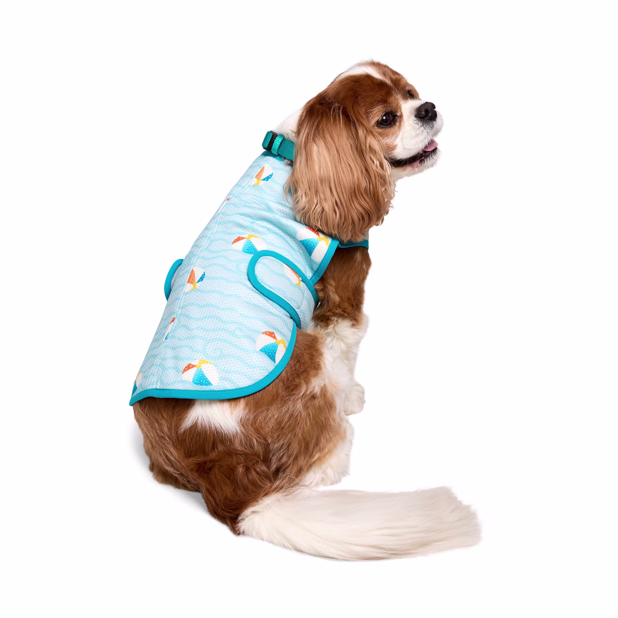 YOULY Cooling Reversible Warm Weather Dog Vest, Reversible Wave/Orange ...