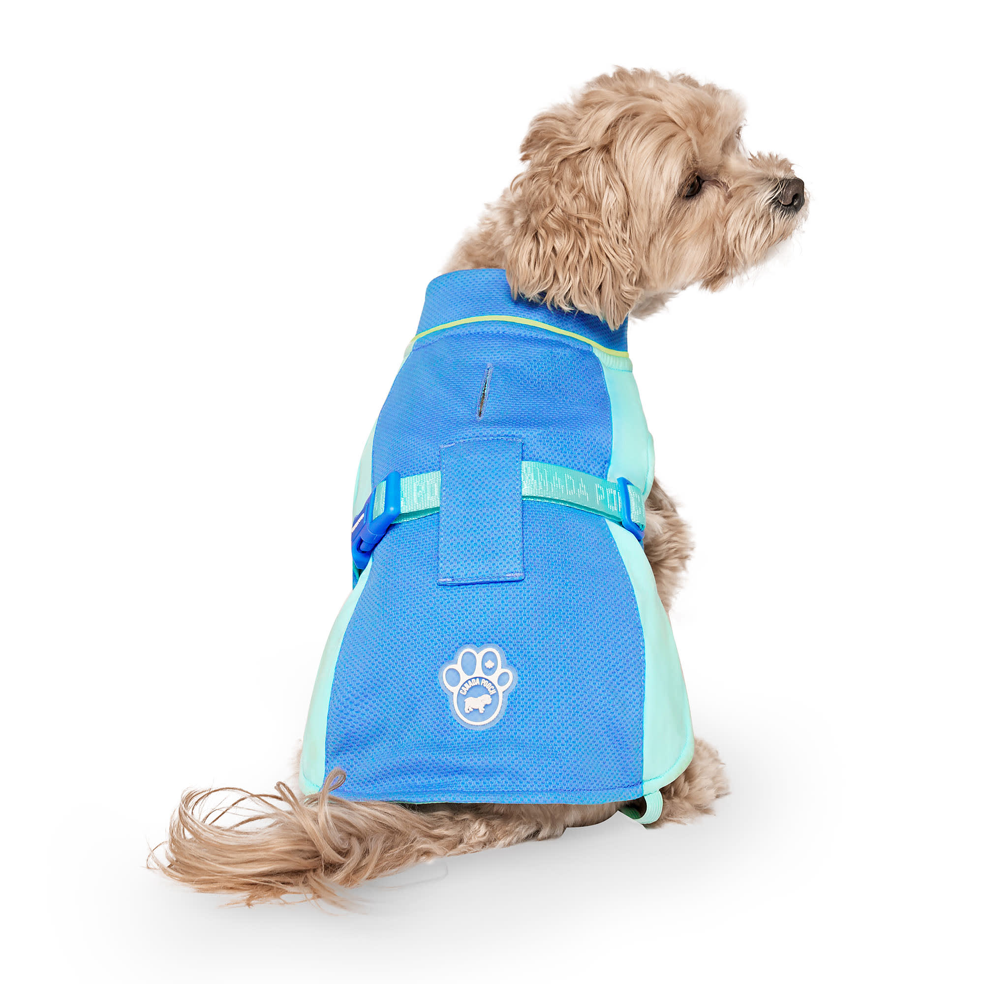 Canada Pooch Max Chill Cooling Dog Vest, Blue, X-Small | Petco