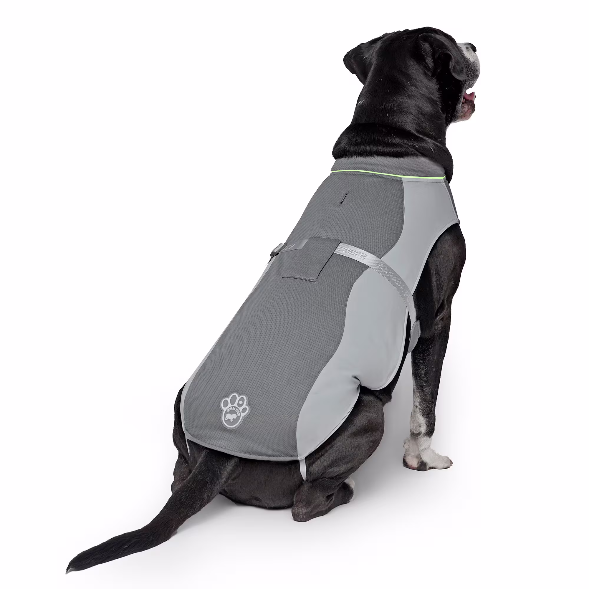 Canada Pooch Max Chill Cooling Dog Vest, Grey, X-Small | Petco