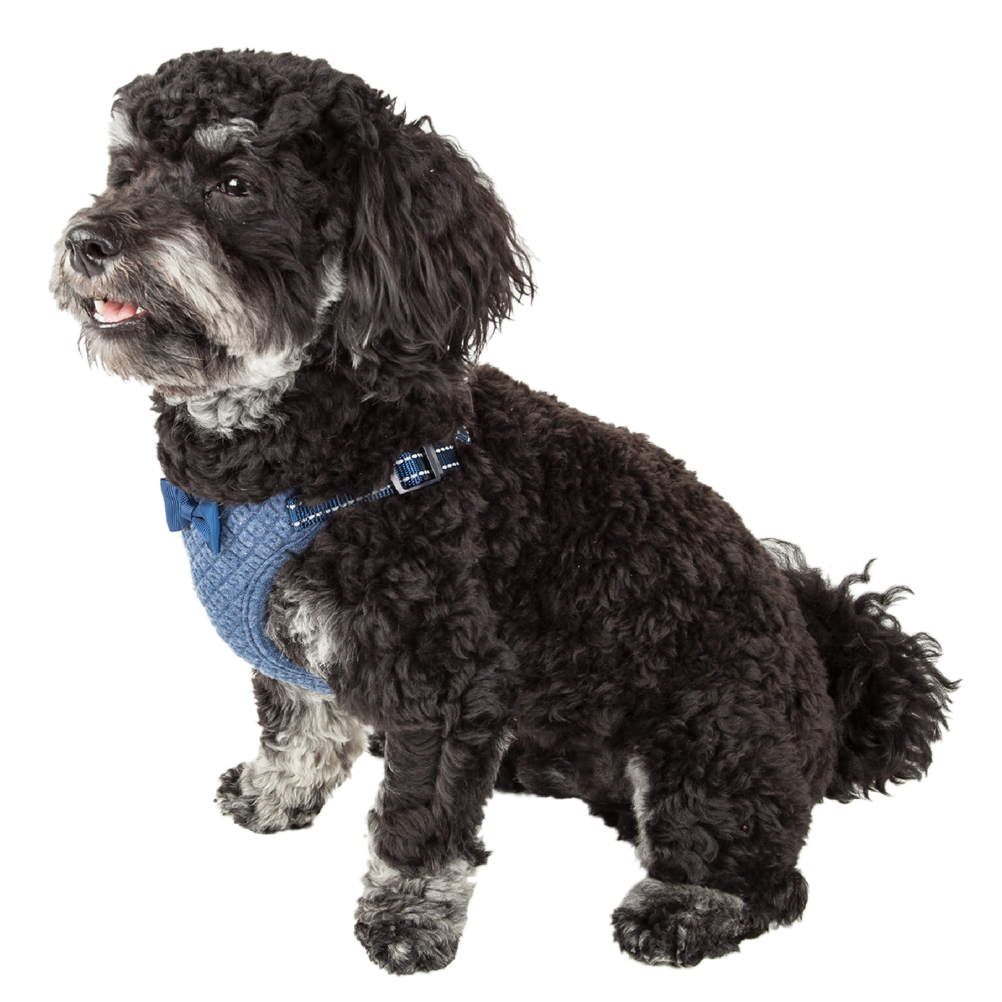 Pet Life 'Flam-Bowyant' Mesh Reversible and Breathable Adjustable Dog ...