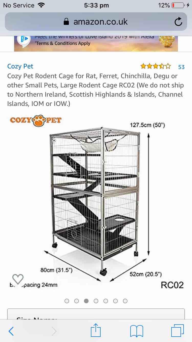 How many rats can comfortably and happily live in this cage? | Petco