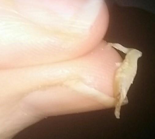 My Pig Has White, Fast-Growing Skin Growth. What Is It? | Petco