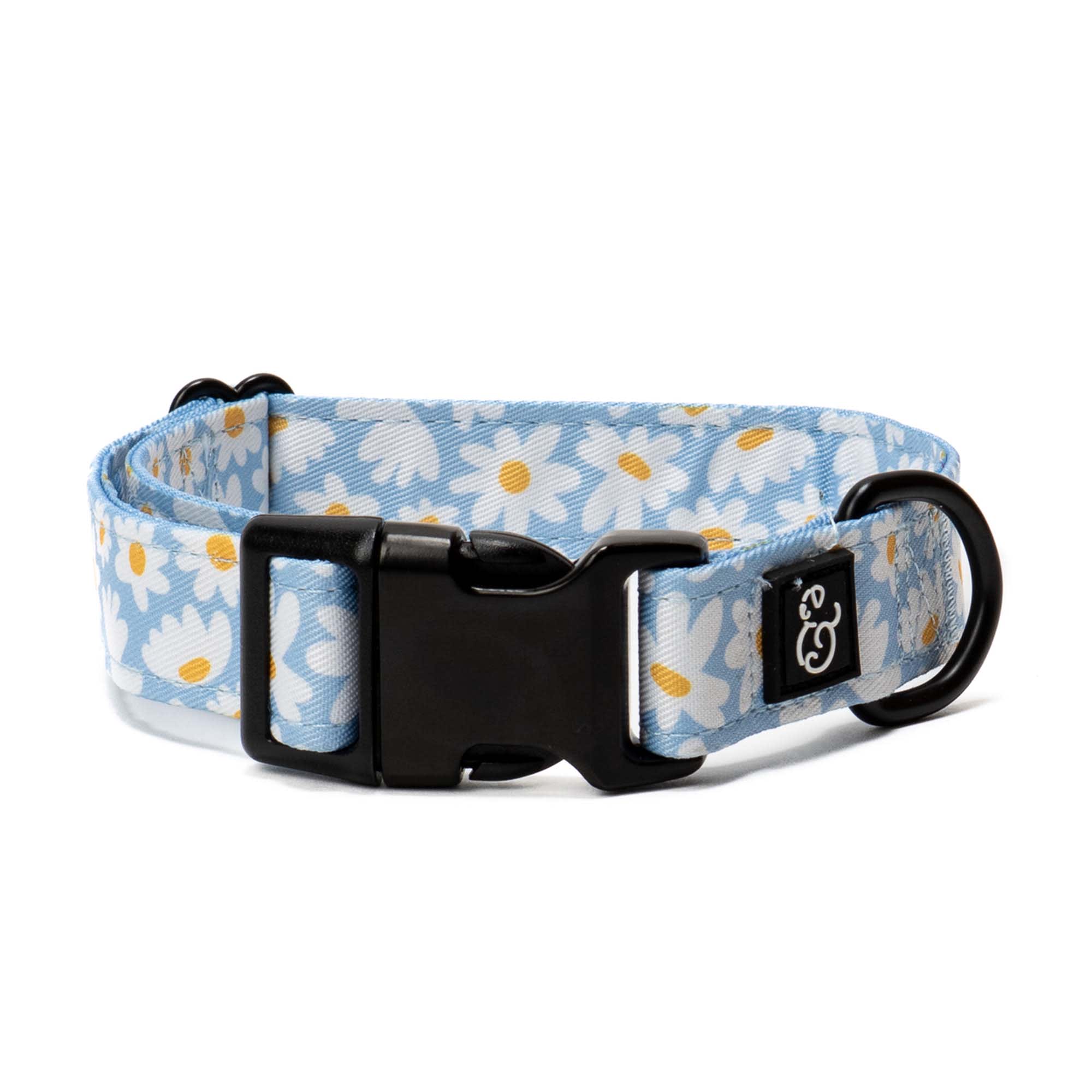 Lucy & Co. Simply Splendid Adjsutable Dog Collar, Blue, Small | Petco