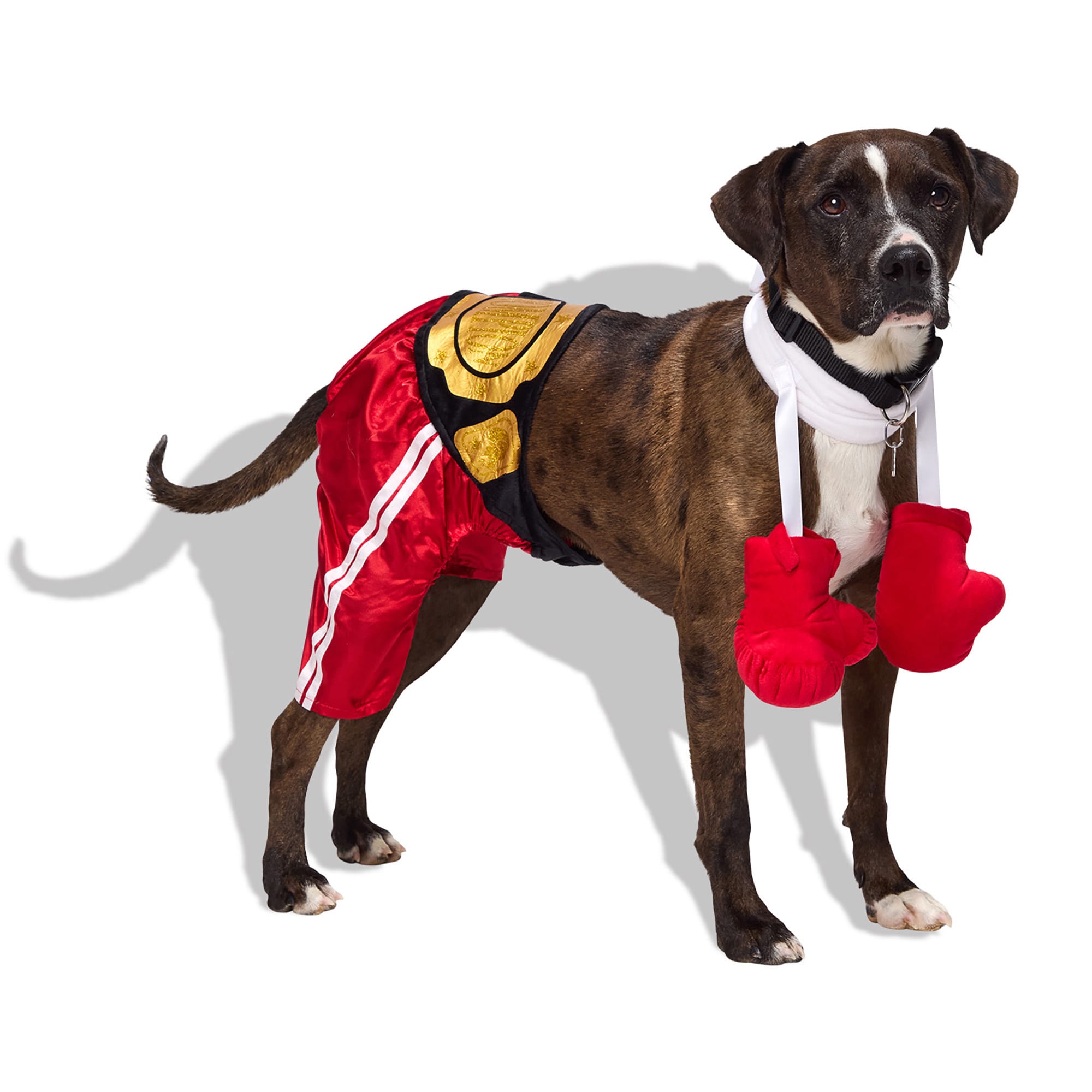 Bootique Boxer 2-Piece Dog Halloween Costume, Large/X-Large | Petco