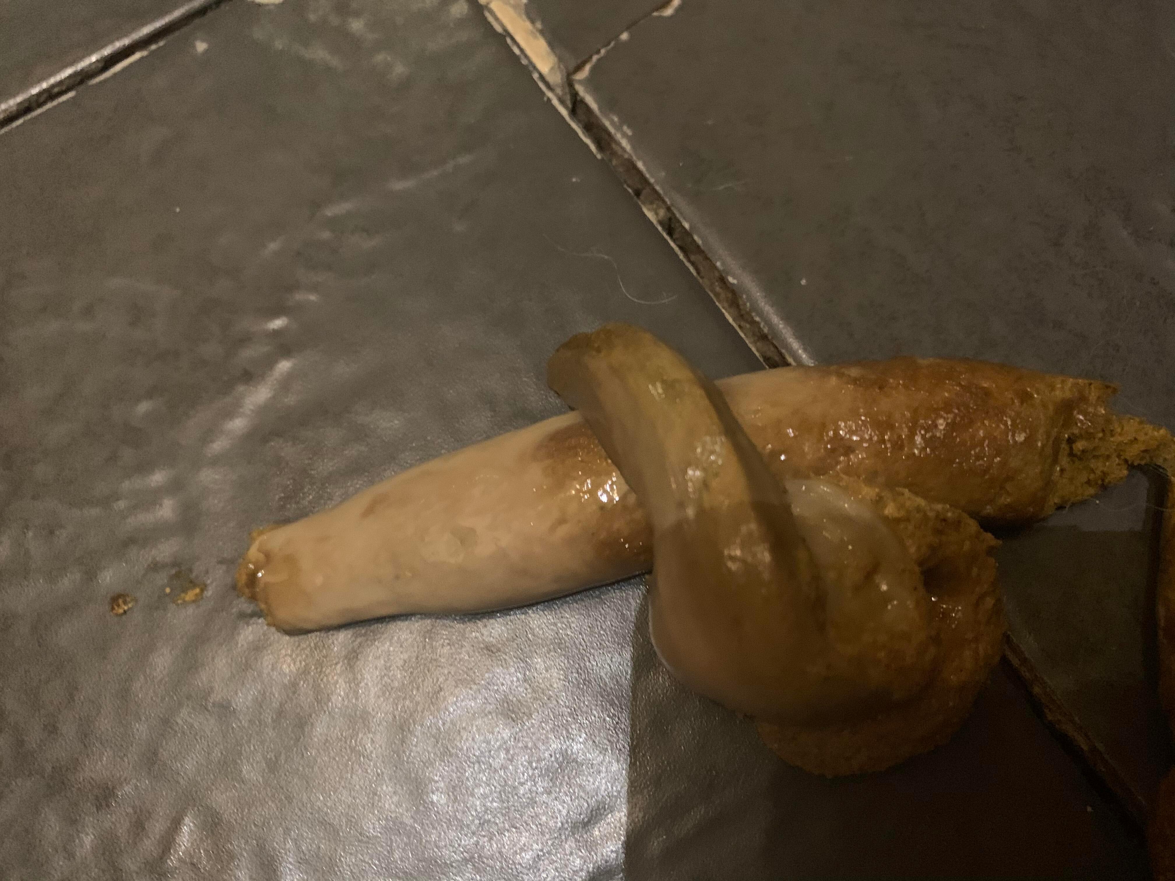 My Dog's Poop Has Jelly Mucus & She's Panting: Is It Serious? | Petco
