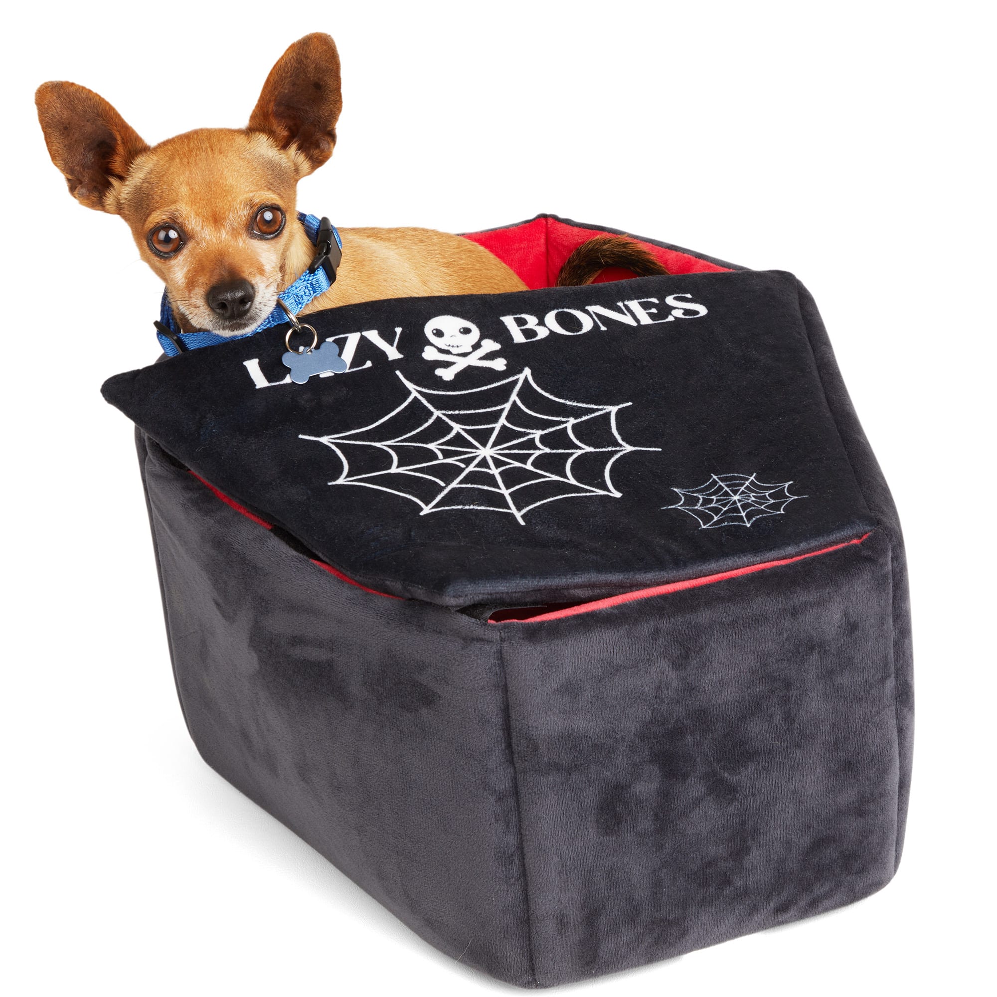 Bootique Coffin Pet Bed, 24" L X 18" W, Medium | Petco