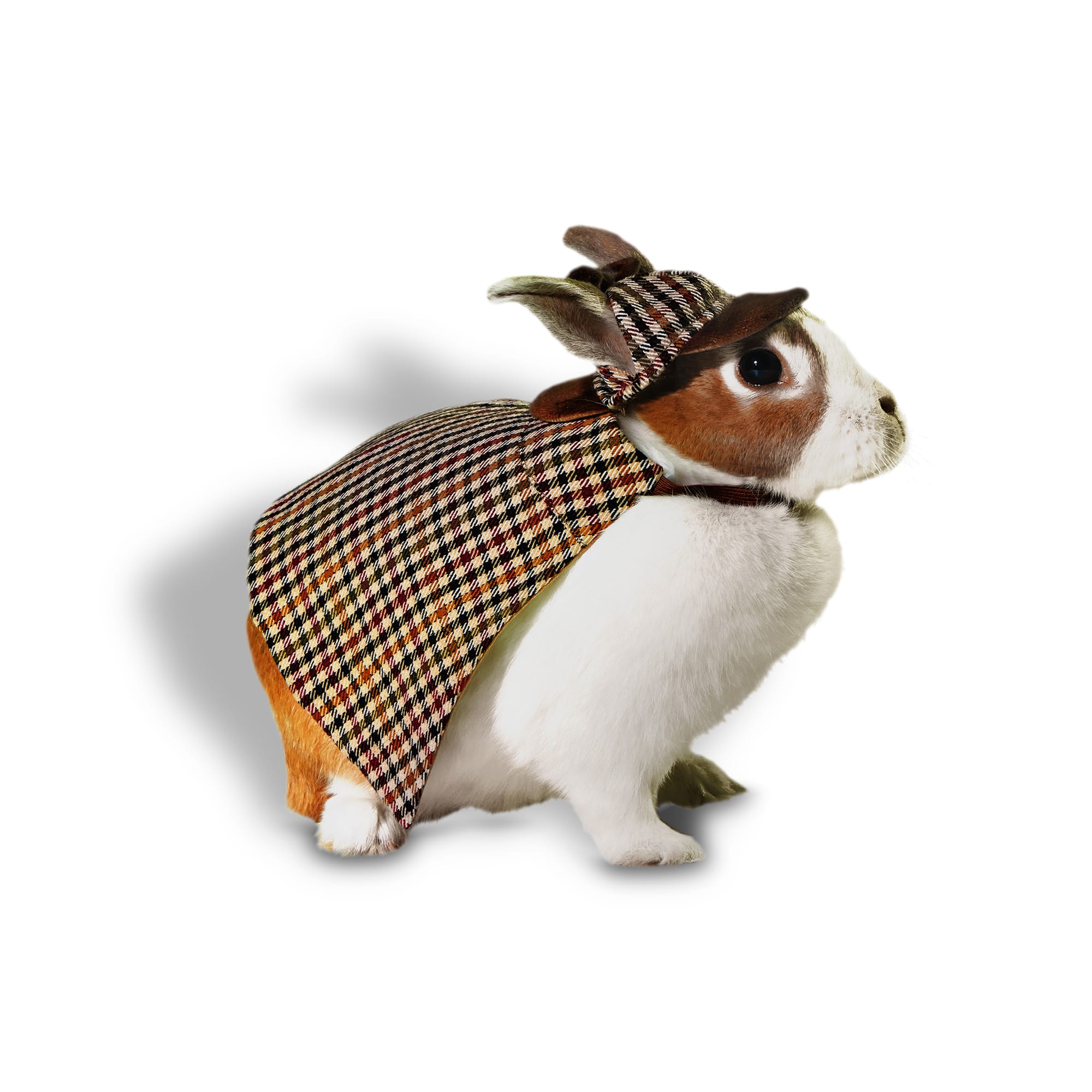 Bootique Detective Rabbit Halloween Costume | Petco