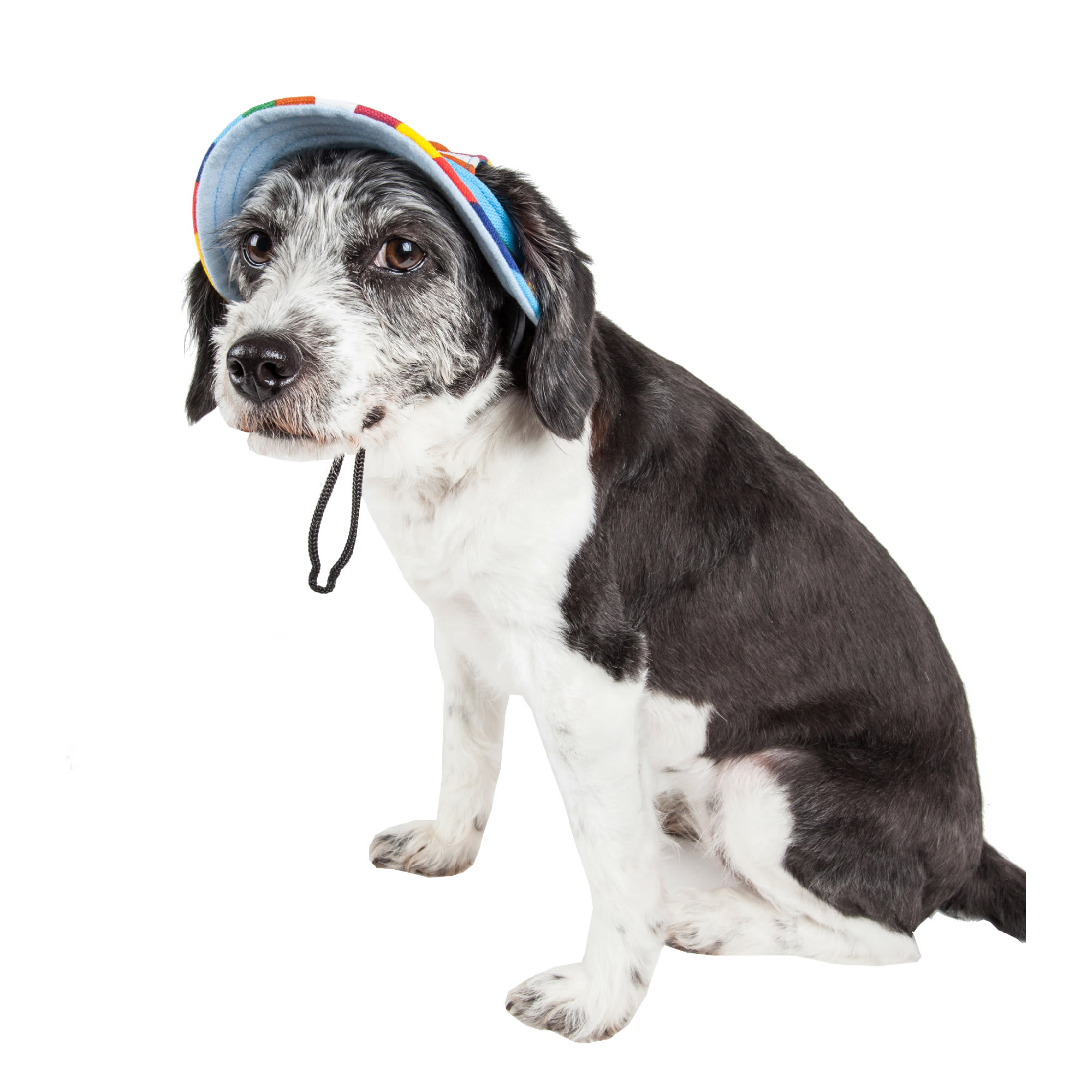 Pet Life 'Colorfur' Uv Protectant Adjustable Fashion Canopy Brimmed Dog ...