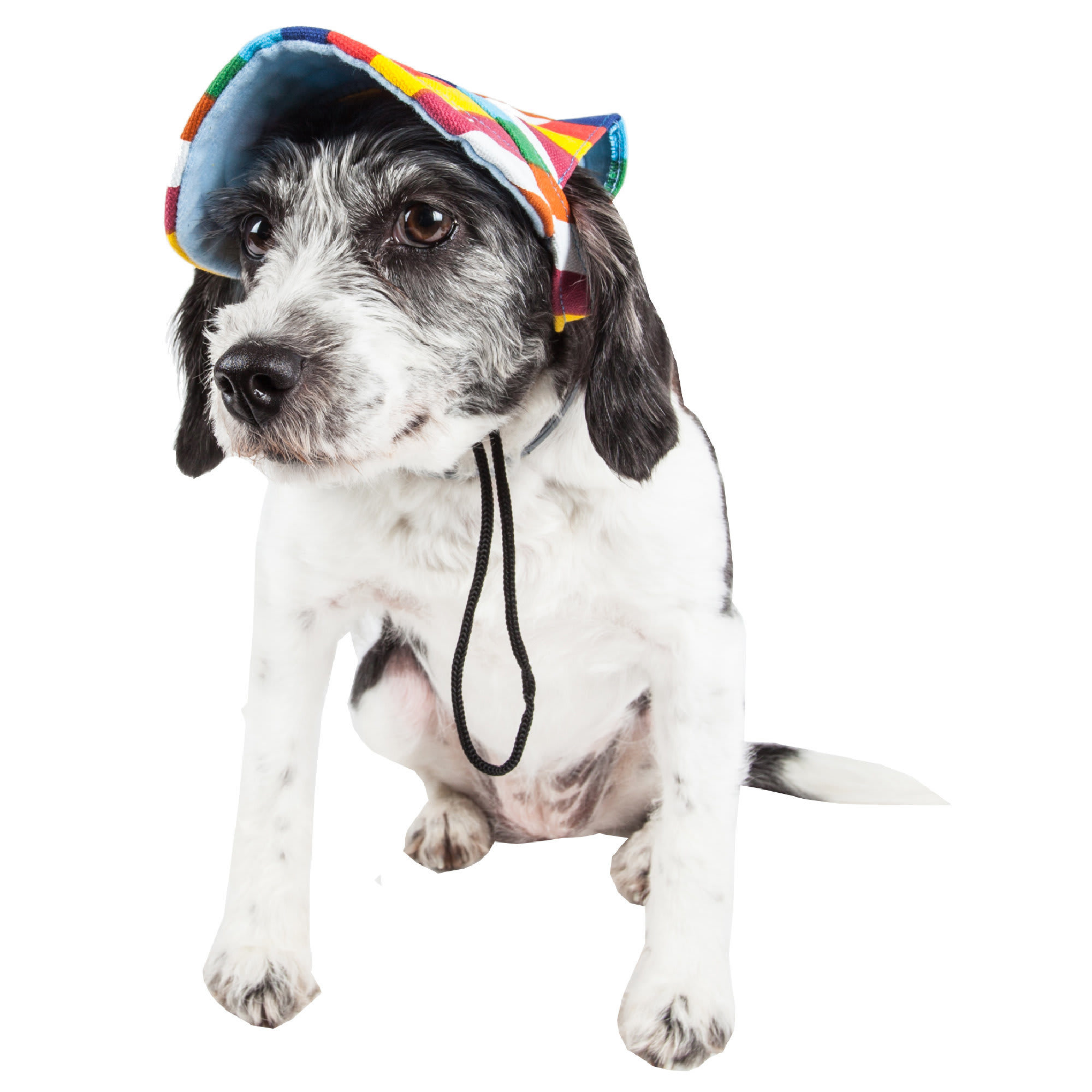 Pet Life 'Colorfur' Floral Uv Protectant Adjustable Fashion Dog Hat Cap ...