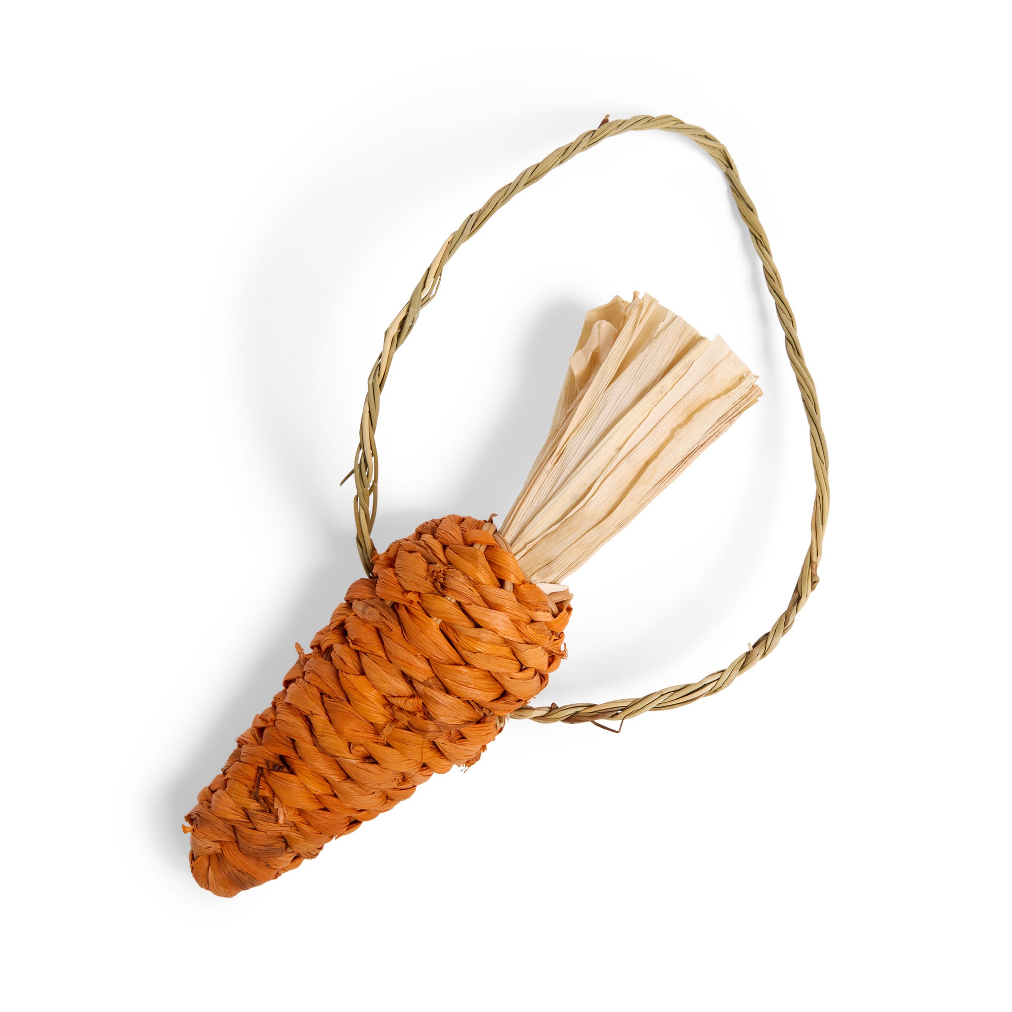EveryYay Carrot-Shaped Small Animal Hay Chew Toy | Petco