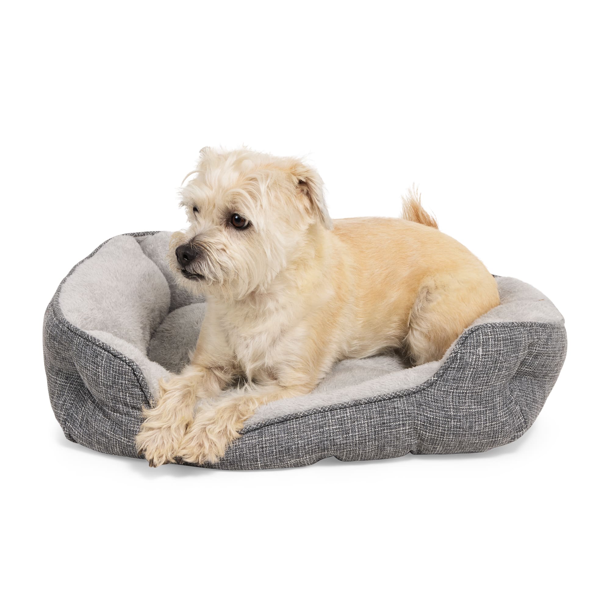 EveryYay Snooze Fest Grey Rectangle Nester Box Dog Bed, 40" L X 30" W X ...