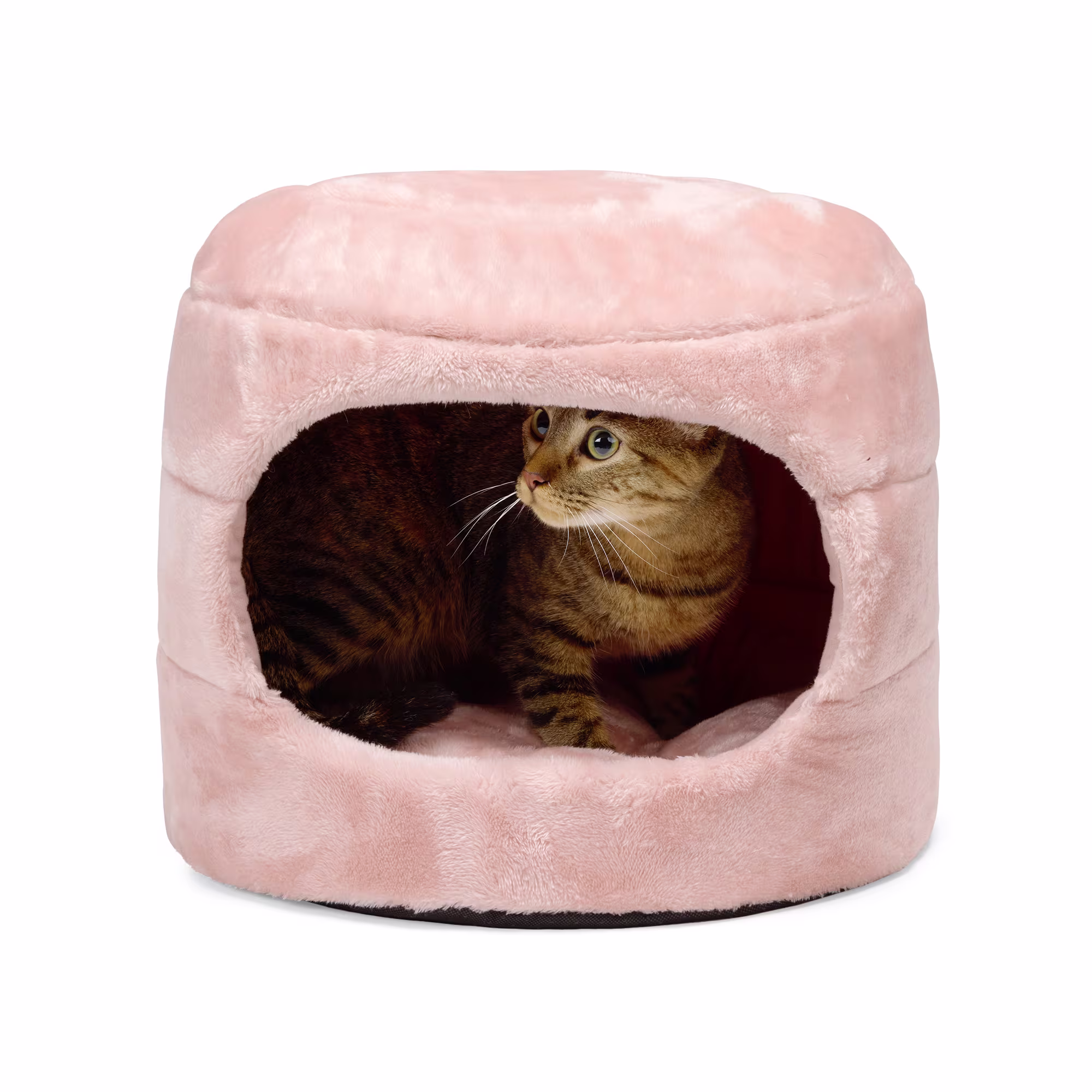 EveryYay Honeycomb 2-in-1 Convertible Cat Bed, 15.75" L X 15.75" W X 13 ...
