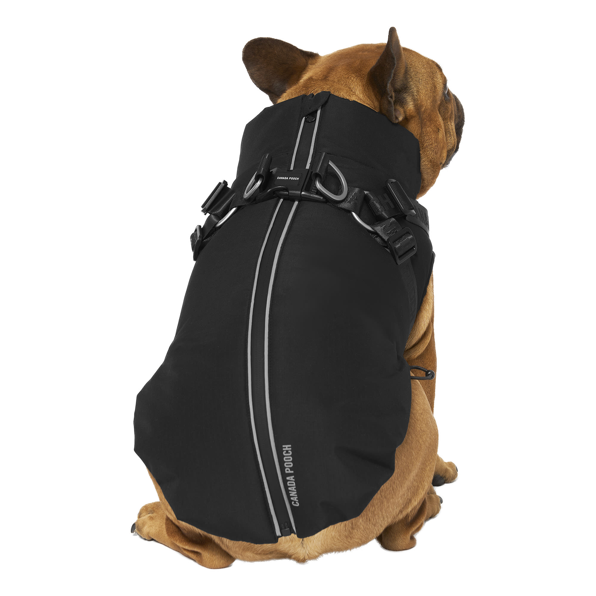 Canada Pooch Complete Control Harness Winter Dog Jacket, 20, X-Large ...