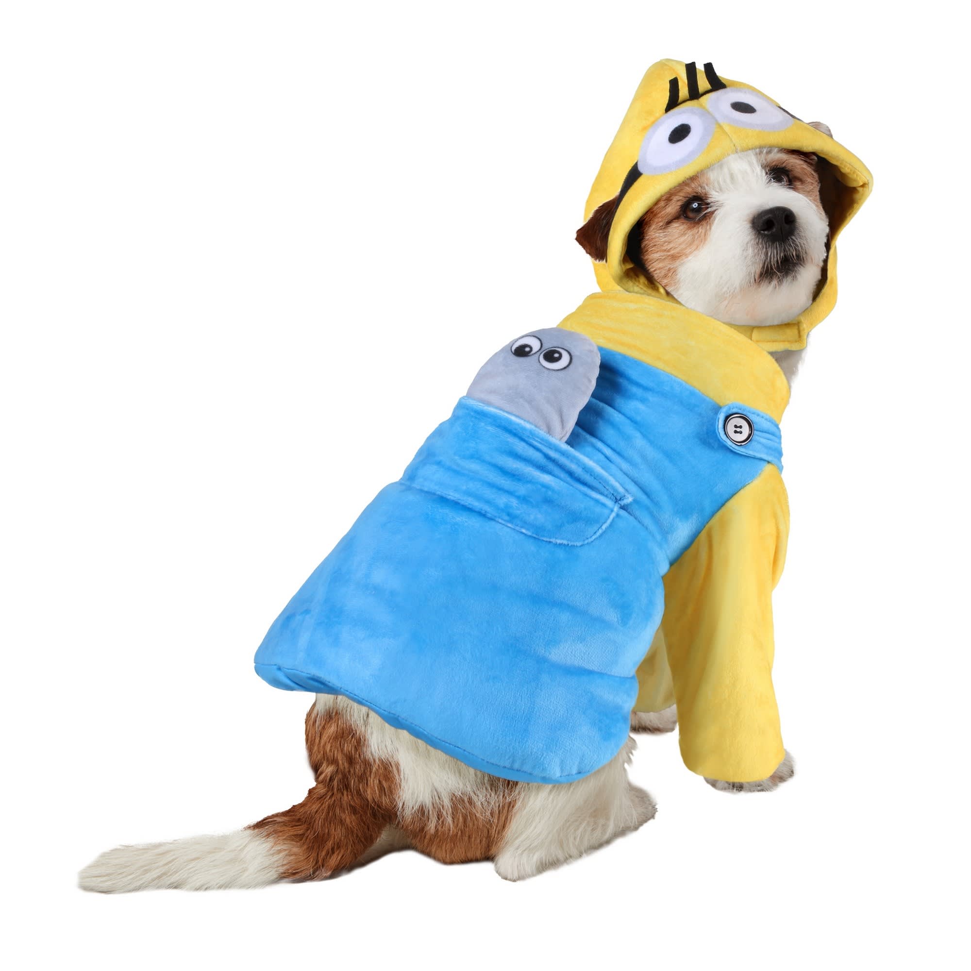 RUBIES Minions Otto Pet Costume, Blue, Small | Petco