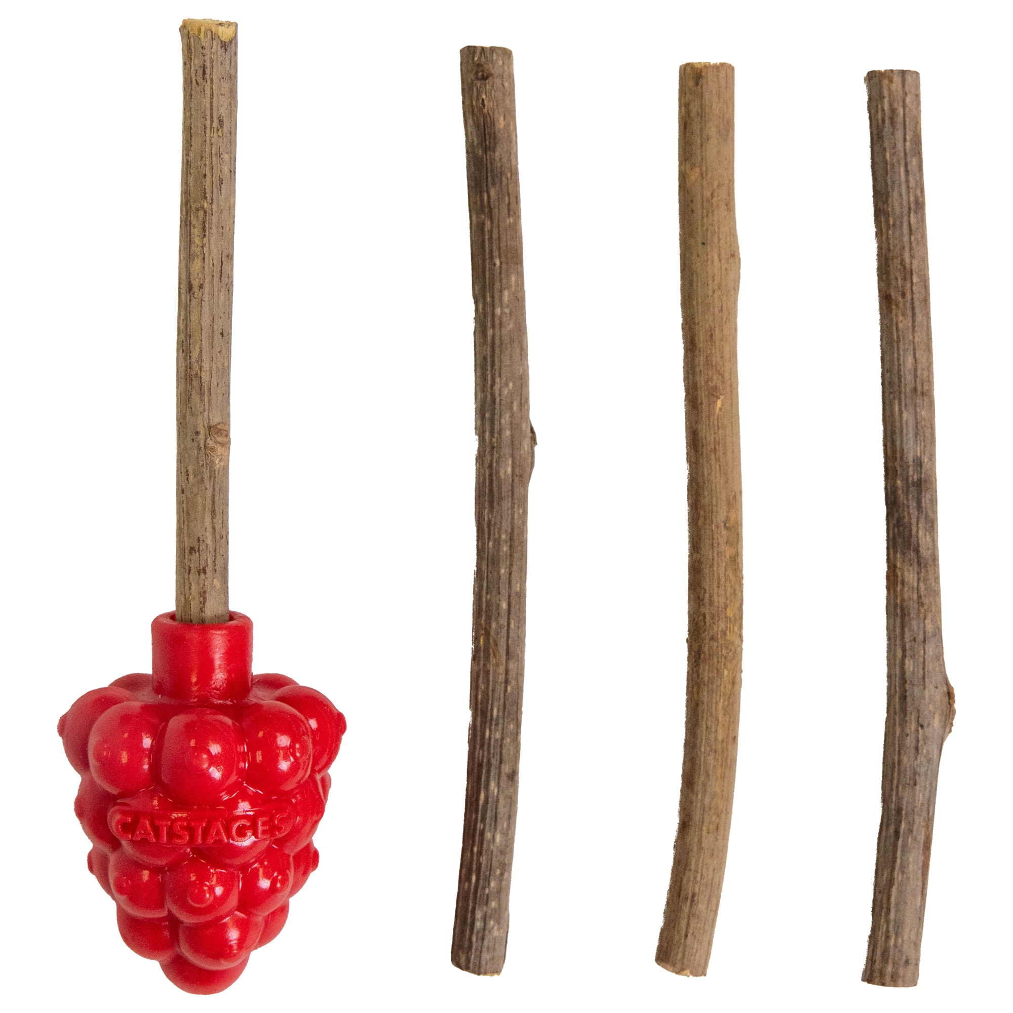 Catstages Red Dental Raspberry Teether with 4 Silvervine Sticks ...
