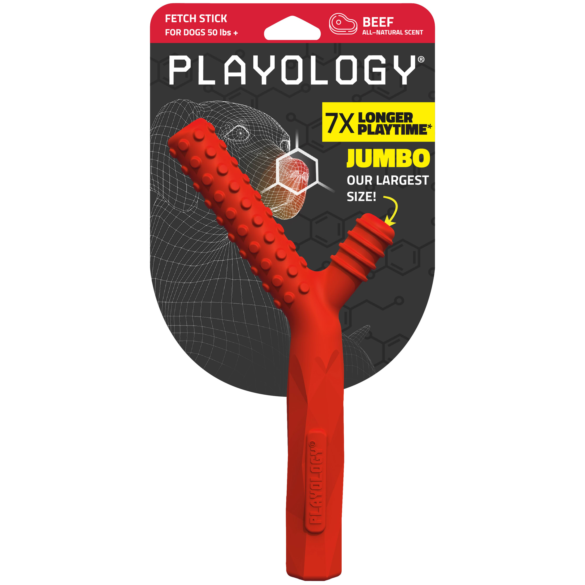 Playology Beef Scented Fetch Stick Jumbo Dog Toy, Large | Petco