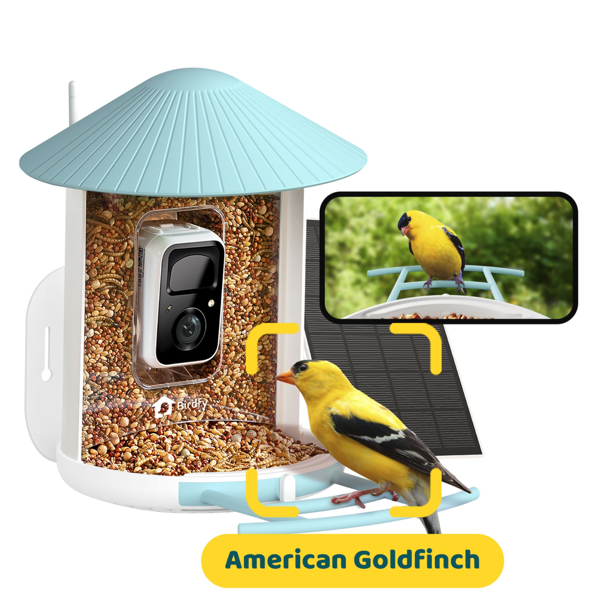 Birdfy Blue Solar Panel & AI Lifetime Free Smart Bird Feeder Camera, 1. ...