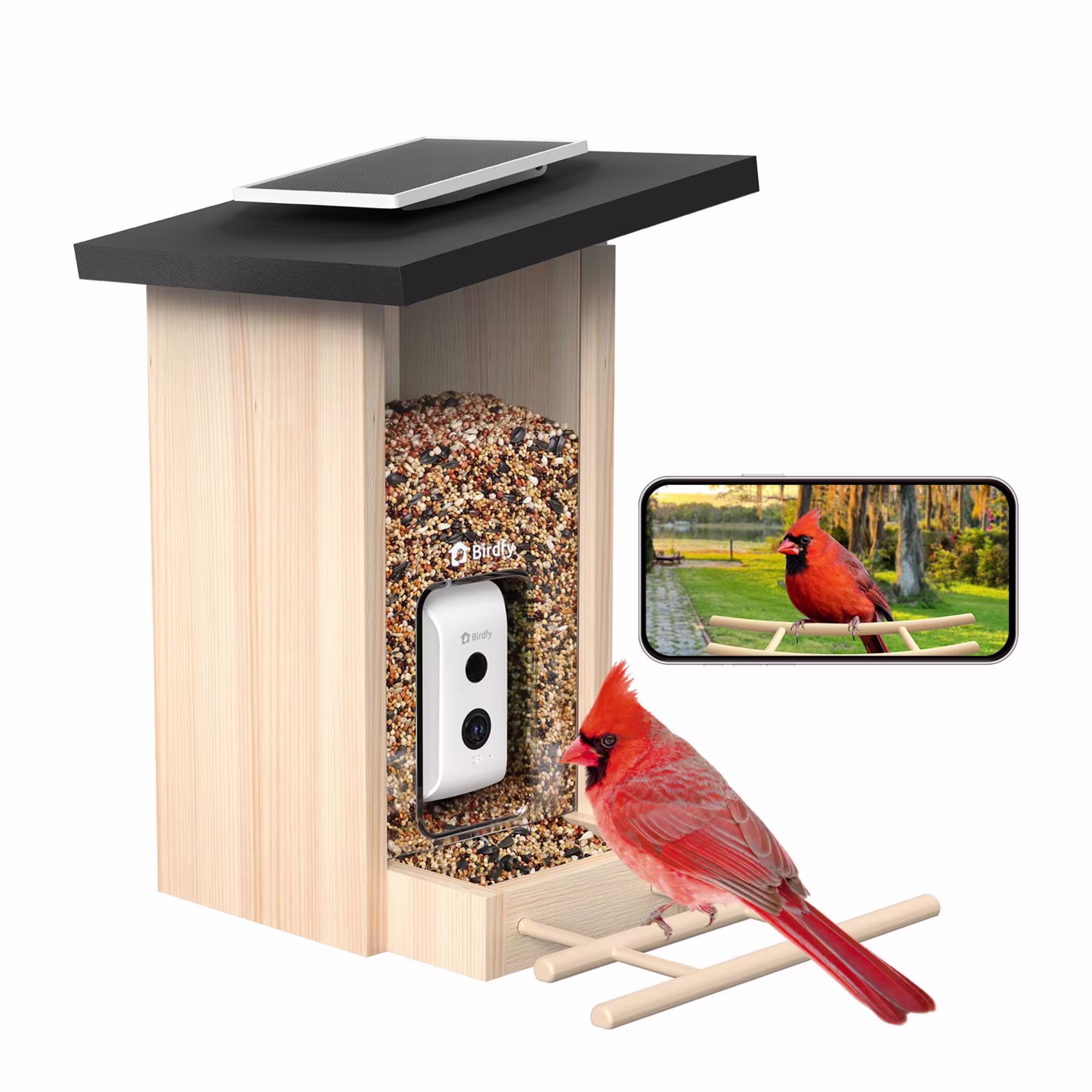 Birdfy Ebony Solar Powered Smart Bird Feeder with Camera, 2.8 Litre | Petco