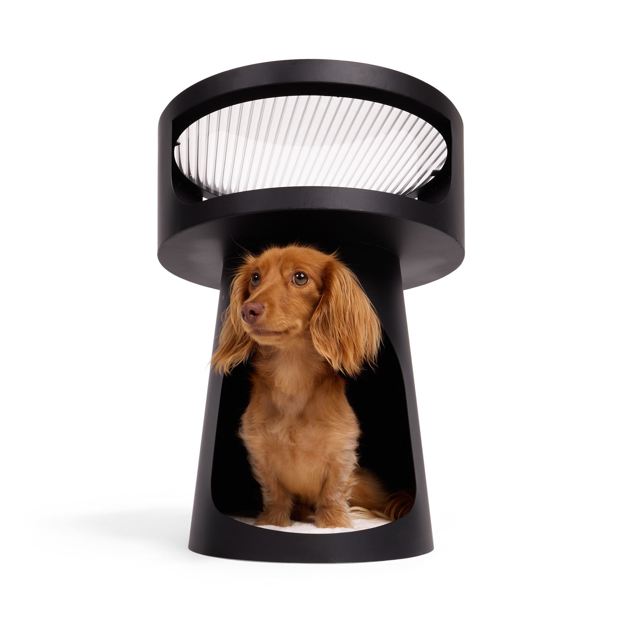 Petco Pet Condo Two-Level End Table with Shelf, 15.7" L X 15.7" W X 21. ...