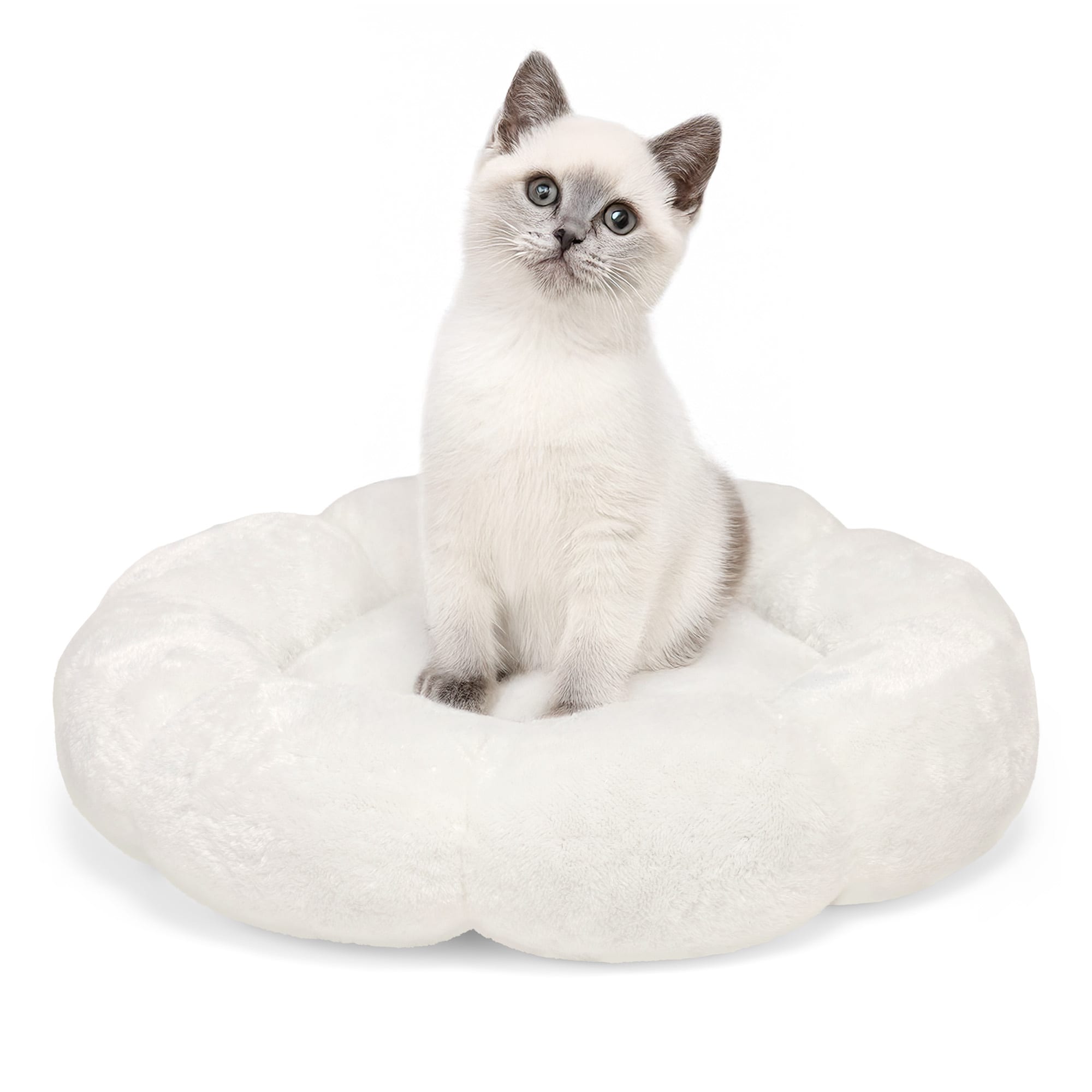 EveryYay Round Bolster Plush Cream Cat Bed, 19" L X 19" W X 4.5" H | Petco