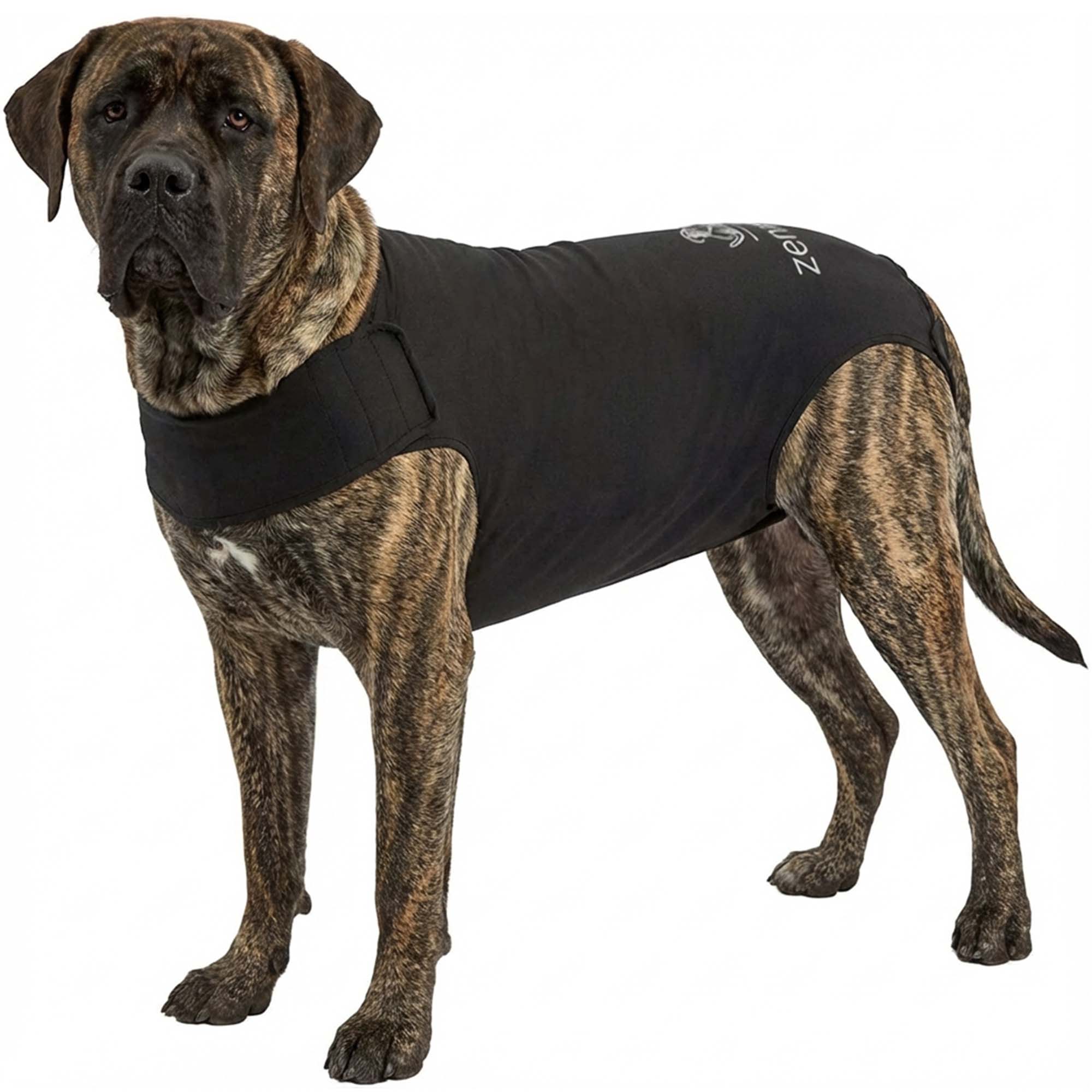 Zenpet ZenDog+ Recovery, Calming & Shed Control Shirt for Dogs, Black ...